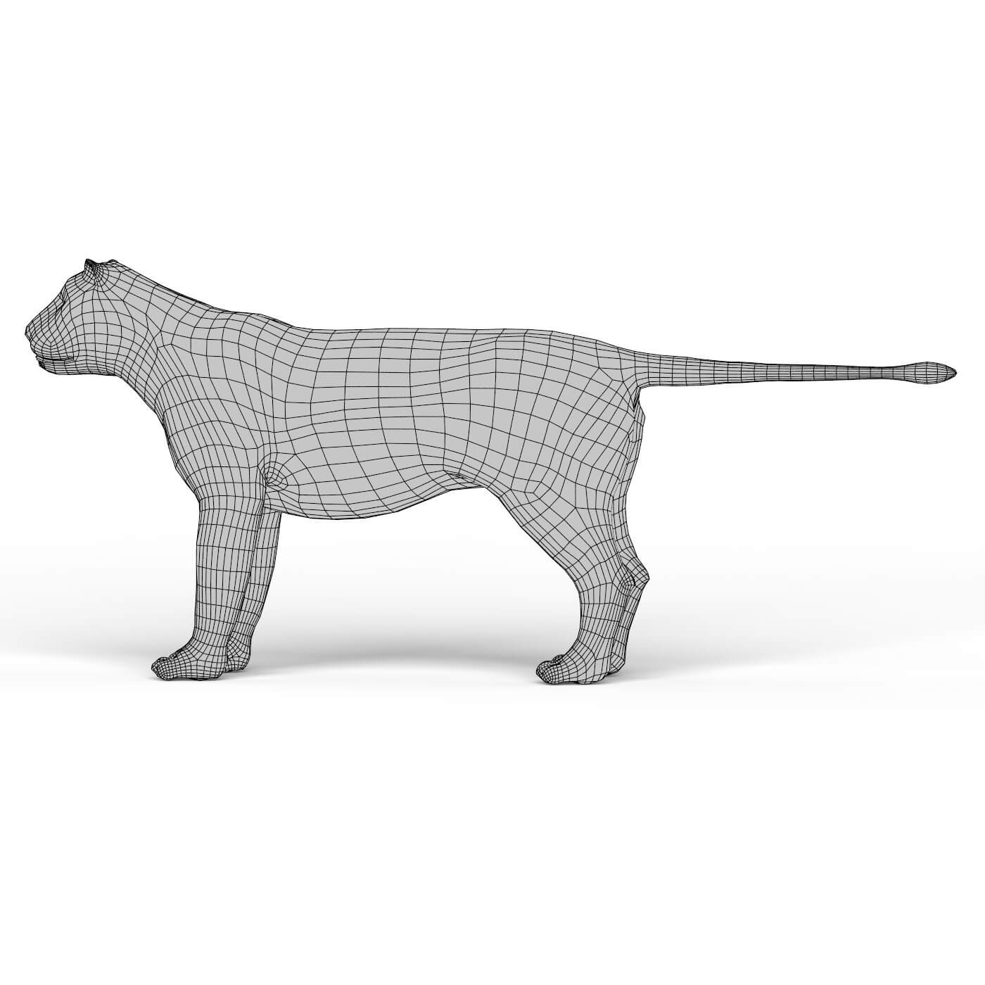 Lion Base Mesh - 3D Model by CGHub