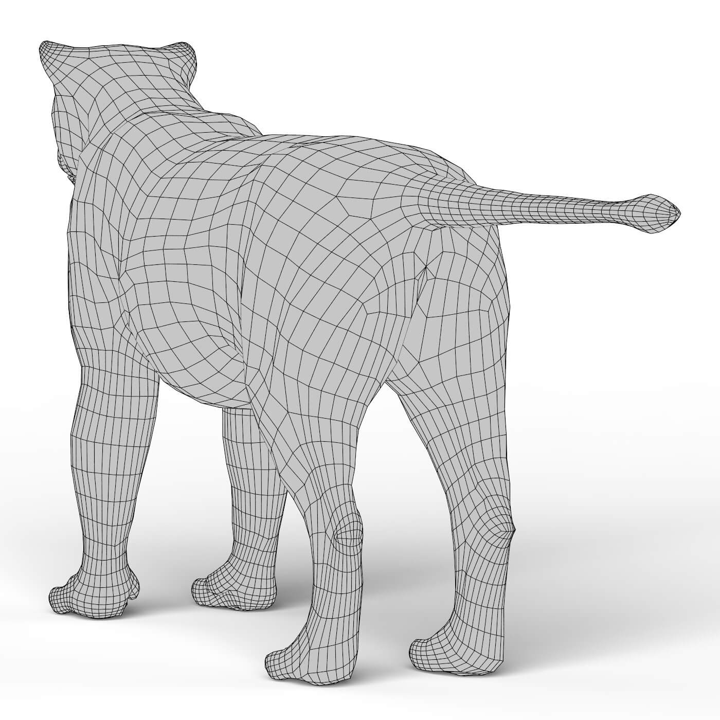 Lion Base Mesh - 3D Model by CGHub