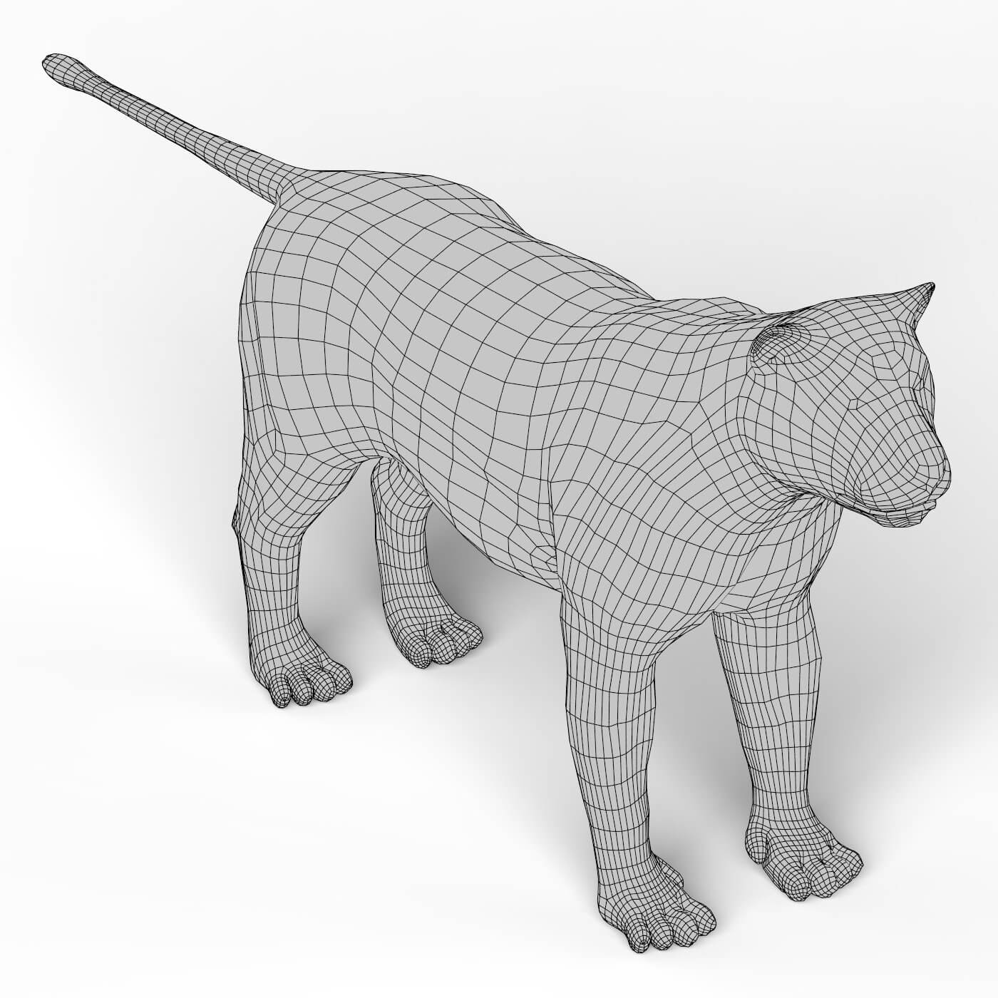 Lion Base Mesh - 3D Model by CGHub