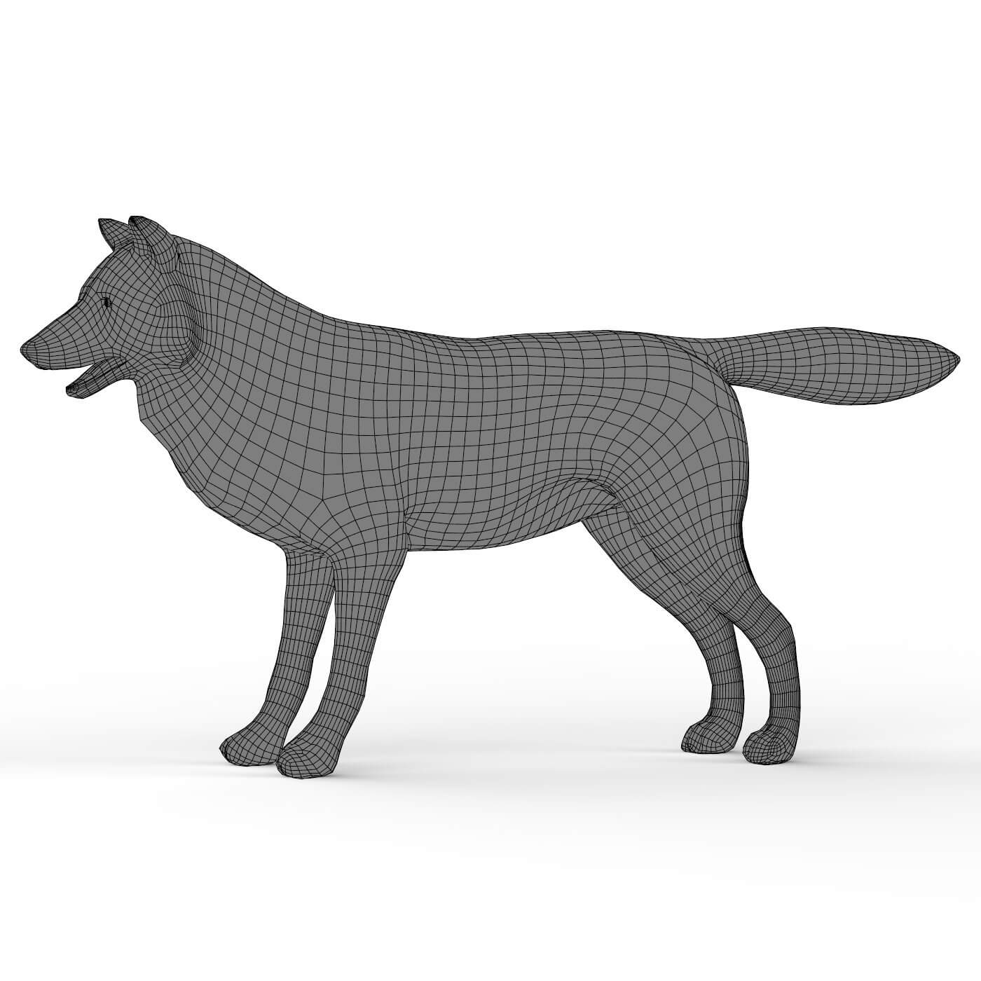 Wolf Base Mesh - 3D Model by CGHub