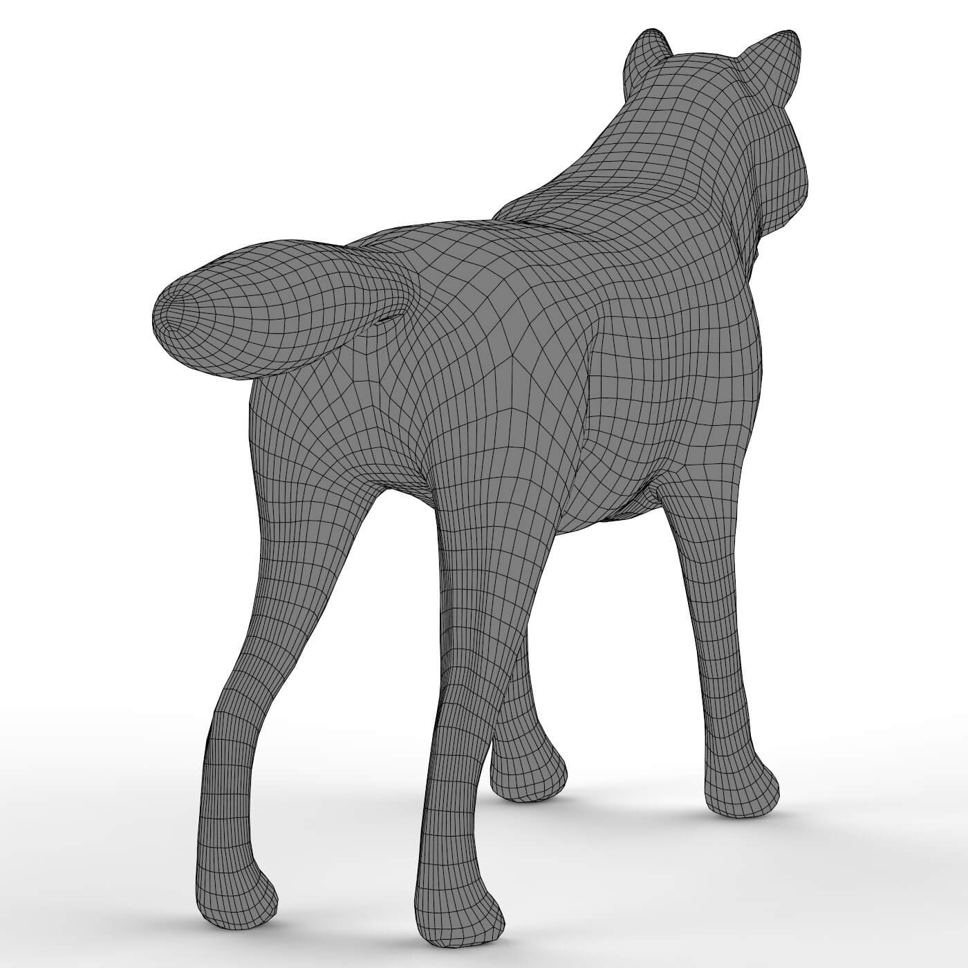Wolf Base Mesh - 3D Model by CGHub