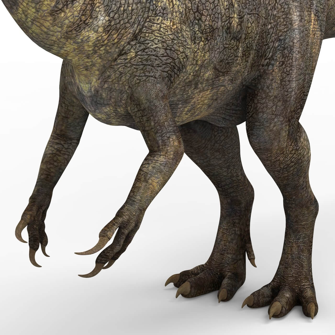 Baryonyx Dinosaur - 3D Model by cgsea