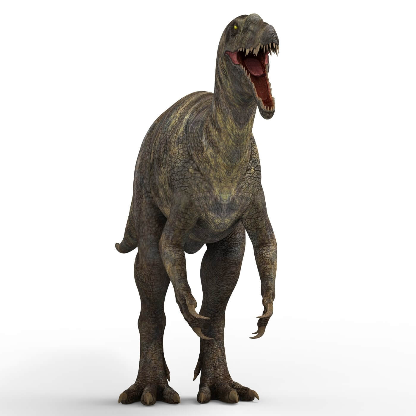 Baryonyx Dinosaur - 3D Model by cgsea