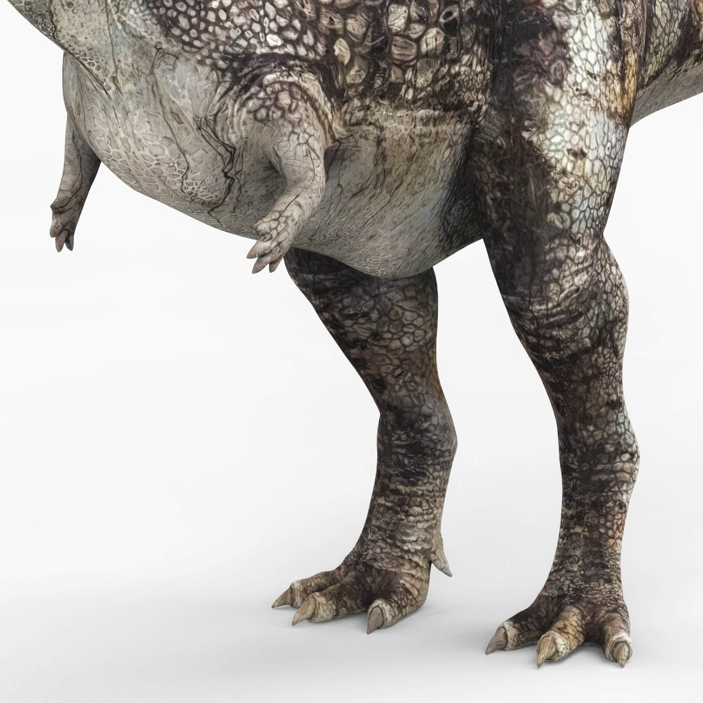 Carnotaurus Dinosaur - 3D Model by cgsea