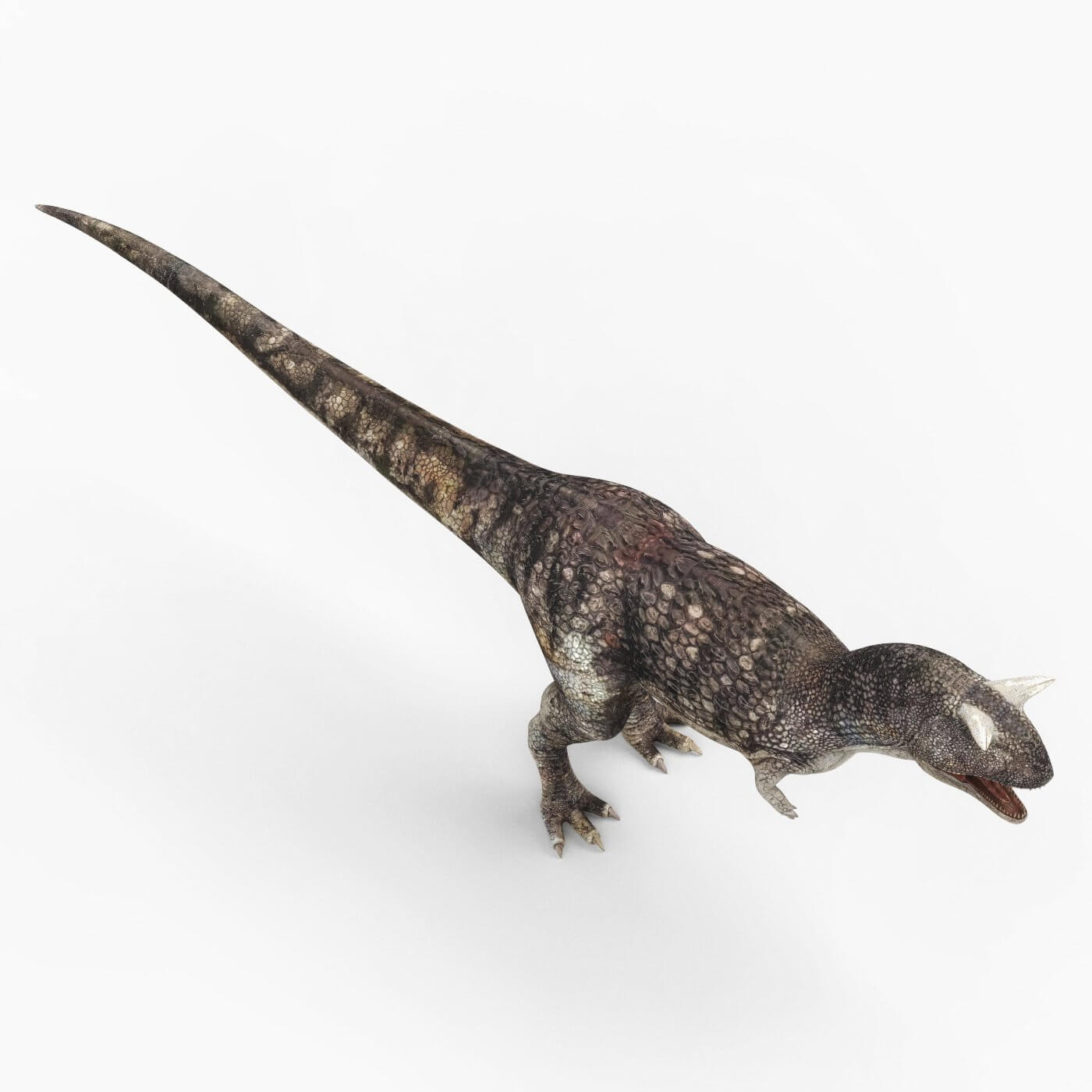 Carnotaurus Dinosaur - 3D Model by cgsea