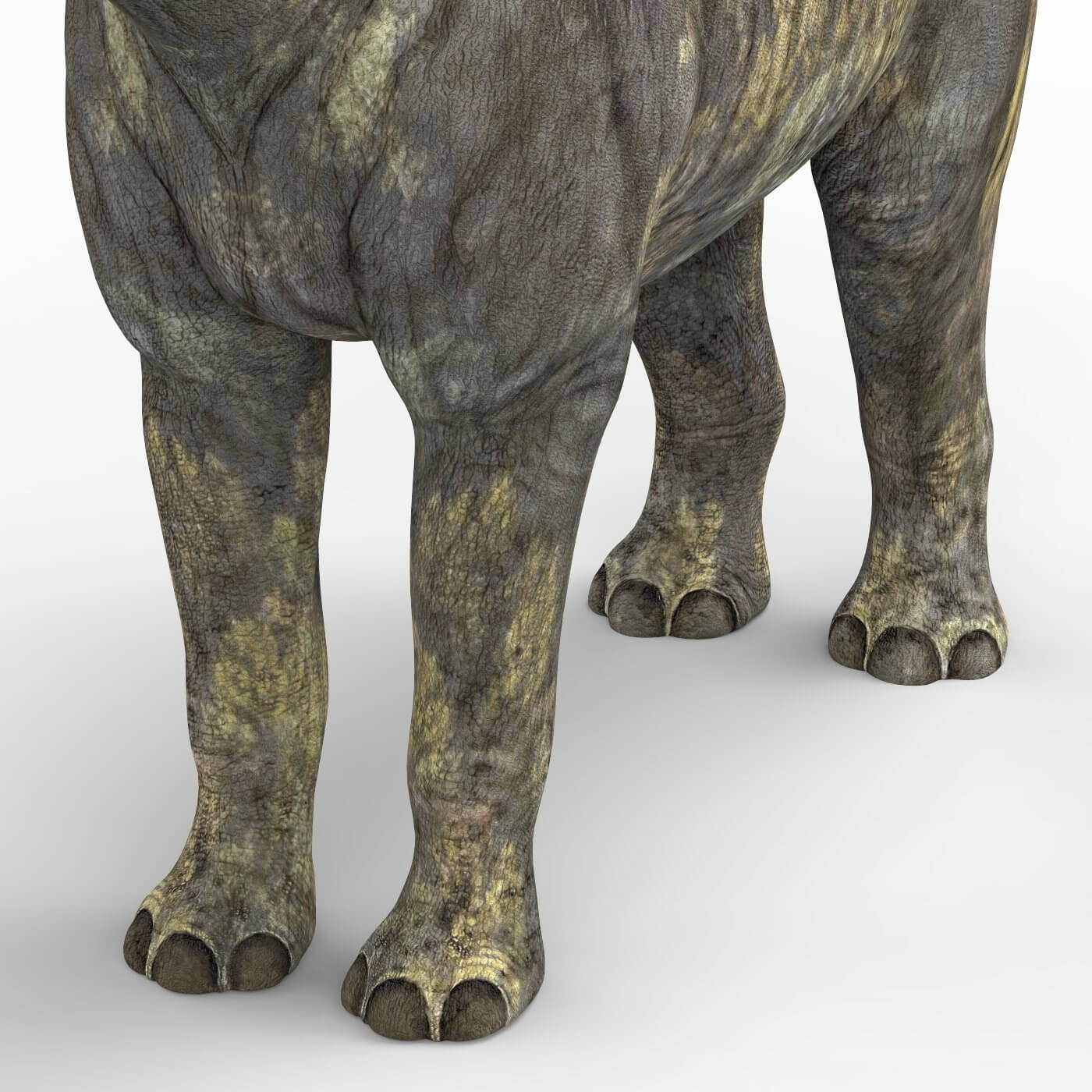 Paraceratherium Dinosaur - 3D Model by cgsea