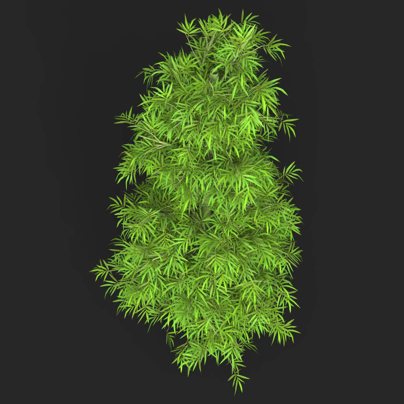 Bamboo Tree 09 - 3D Model by cgsea