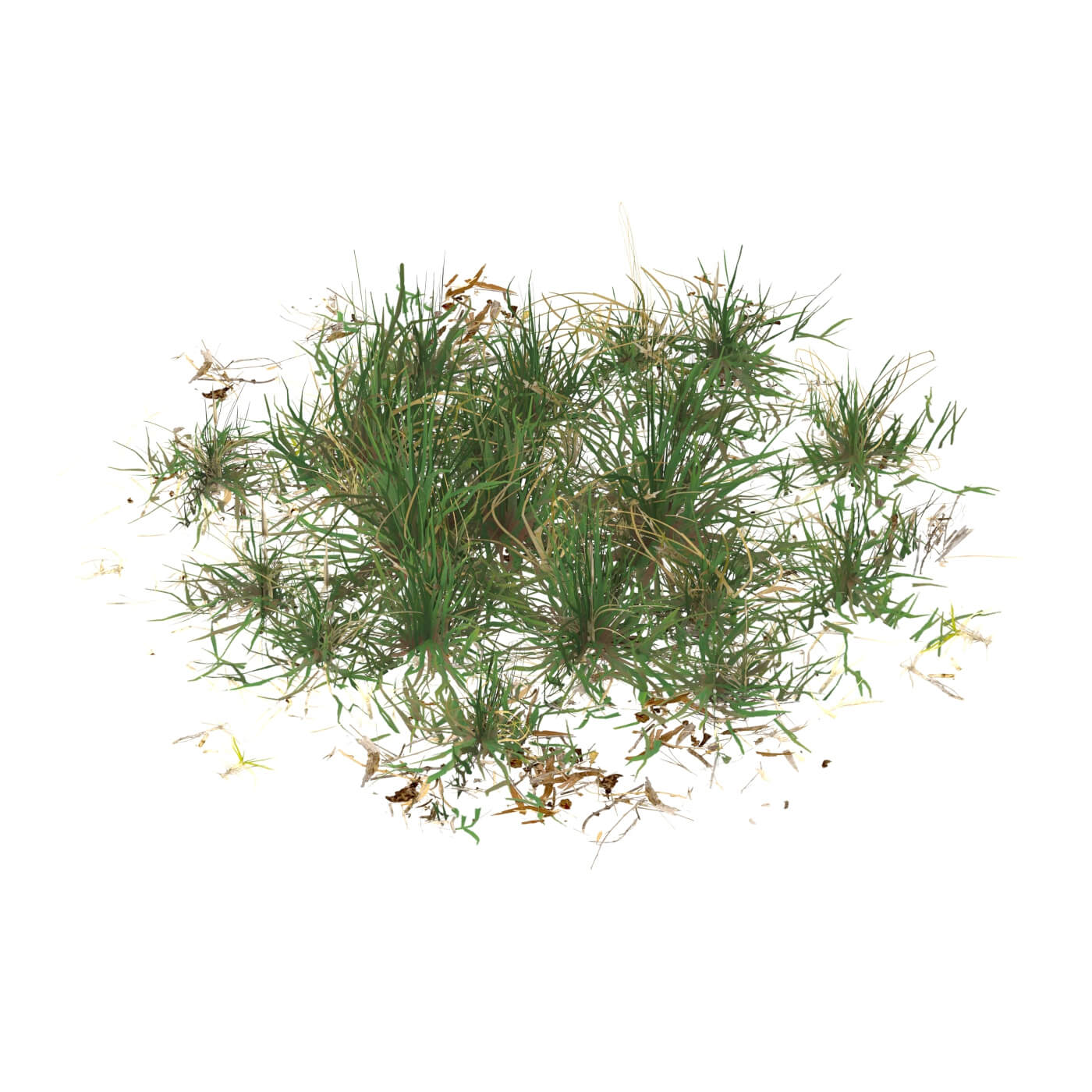 Realistic Game Ready Grass 01 - 3D Model by cgsea