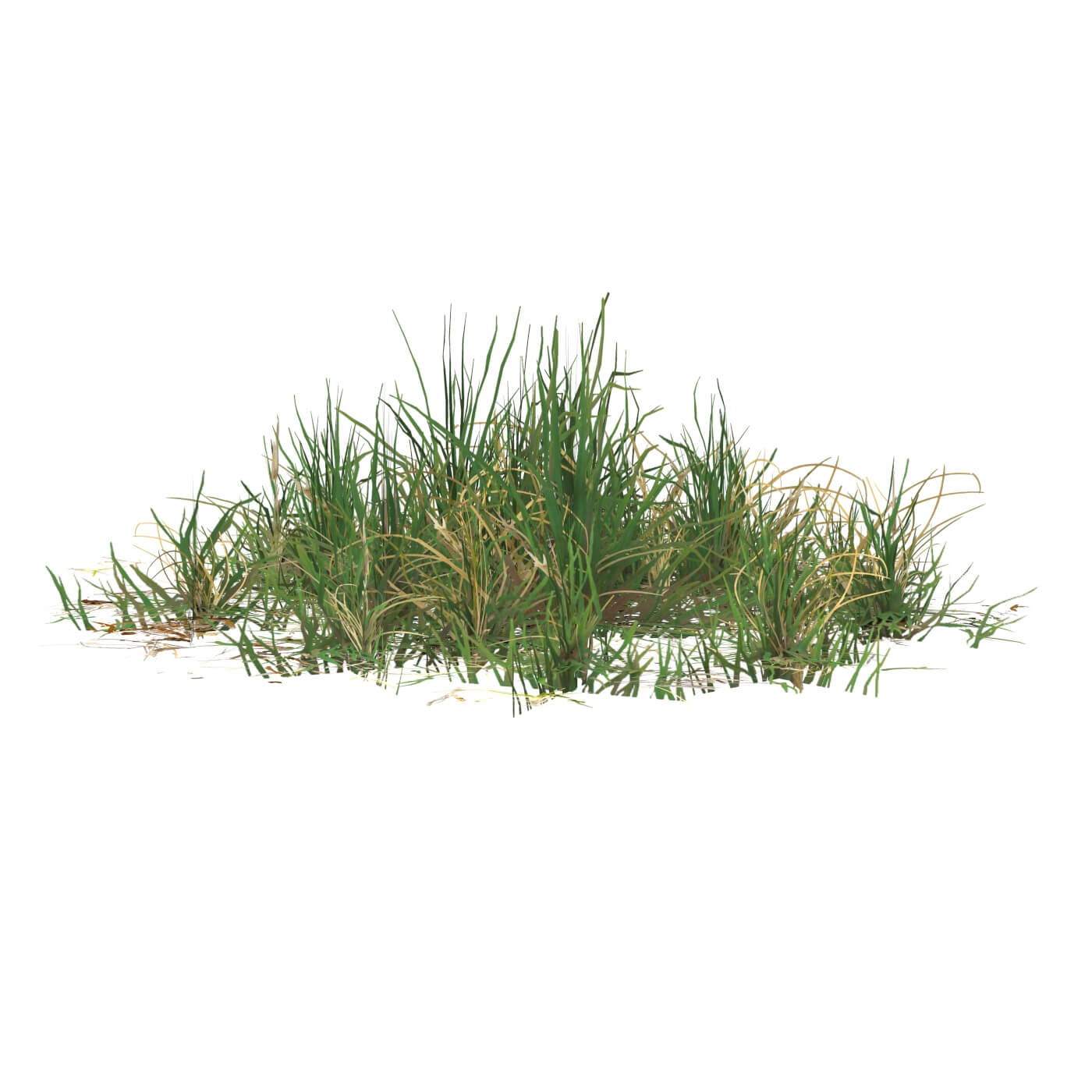 Realistic Game Ready Grass 01 - 3D Model by cgsea