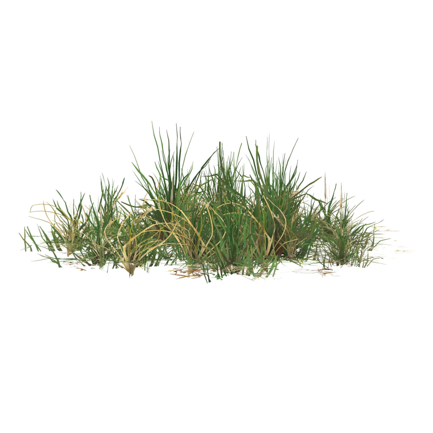 Realistic Game Ready Grass 01 - 3D Model by cgsea