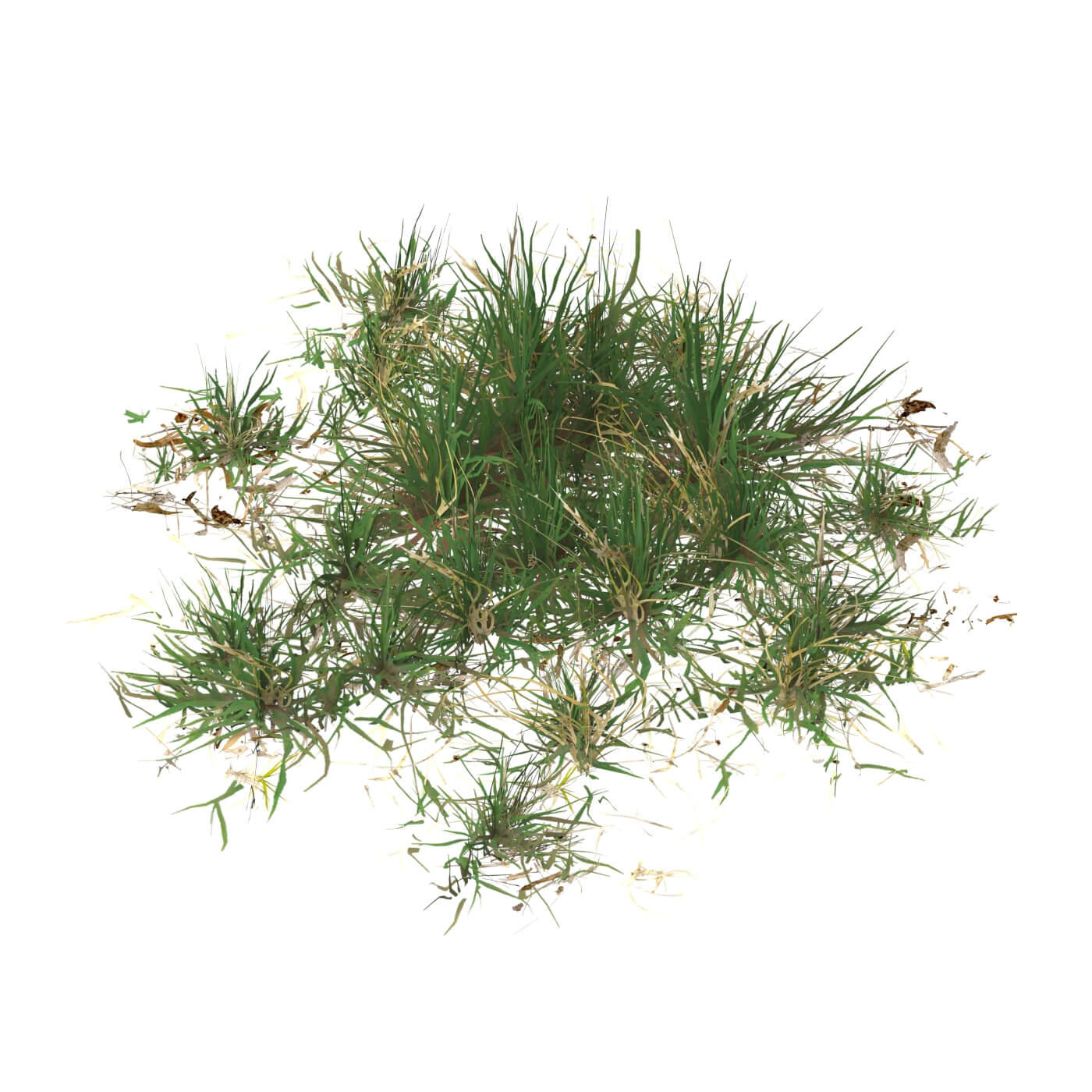 Realistic Game Ready Grass 02 - 3D Model by cgsea
