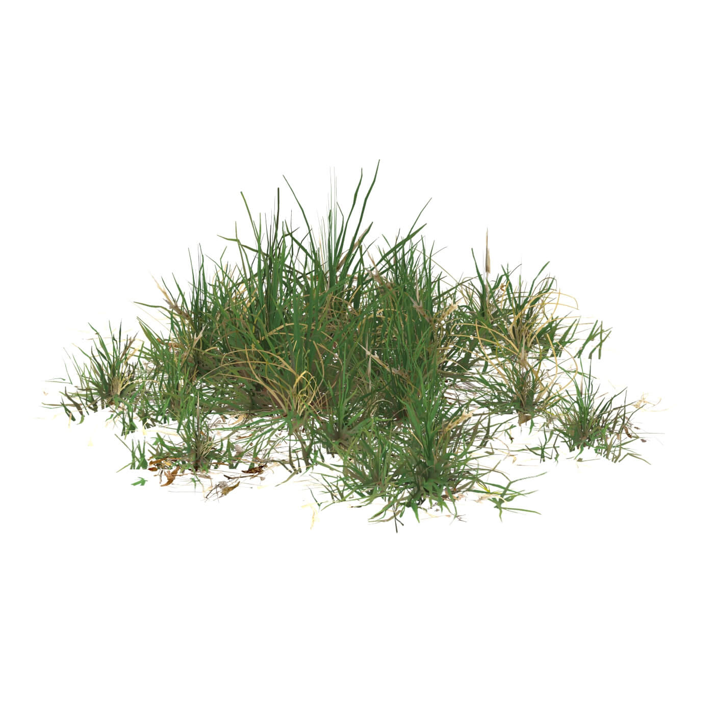 Realistic Game Ready Grass 02 - 3D Model by cgsea
