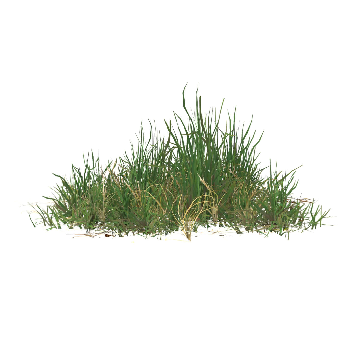 Realistic Game Ready Grass 03 - 3D Model by cgsea