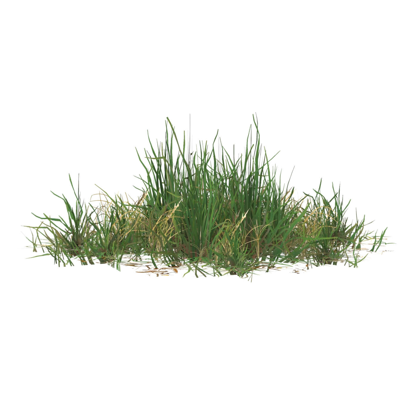 Realistic Game Ready Grass 03 - 3D Model by cgsea
