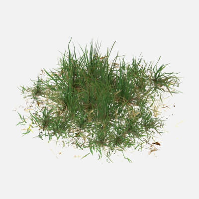 Realistic Game Ready Grass 03 - 3D Model by cgsea