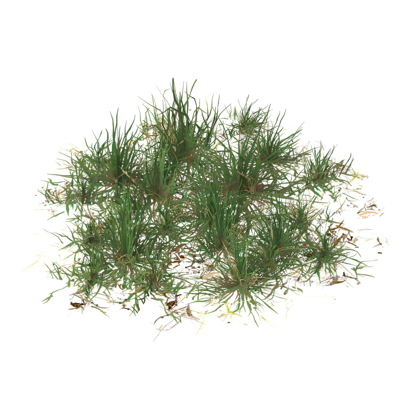 Realistic Game Ready Grass 04 - 3D Model by cgsea
