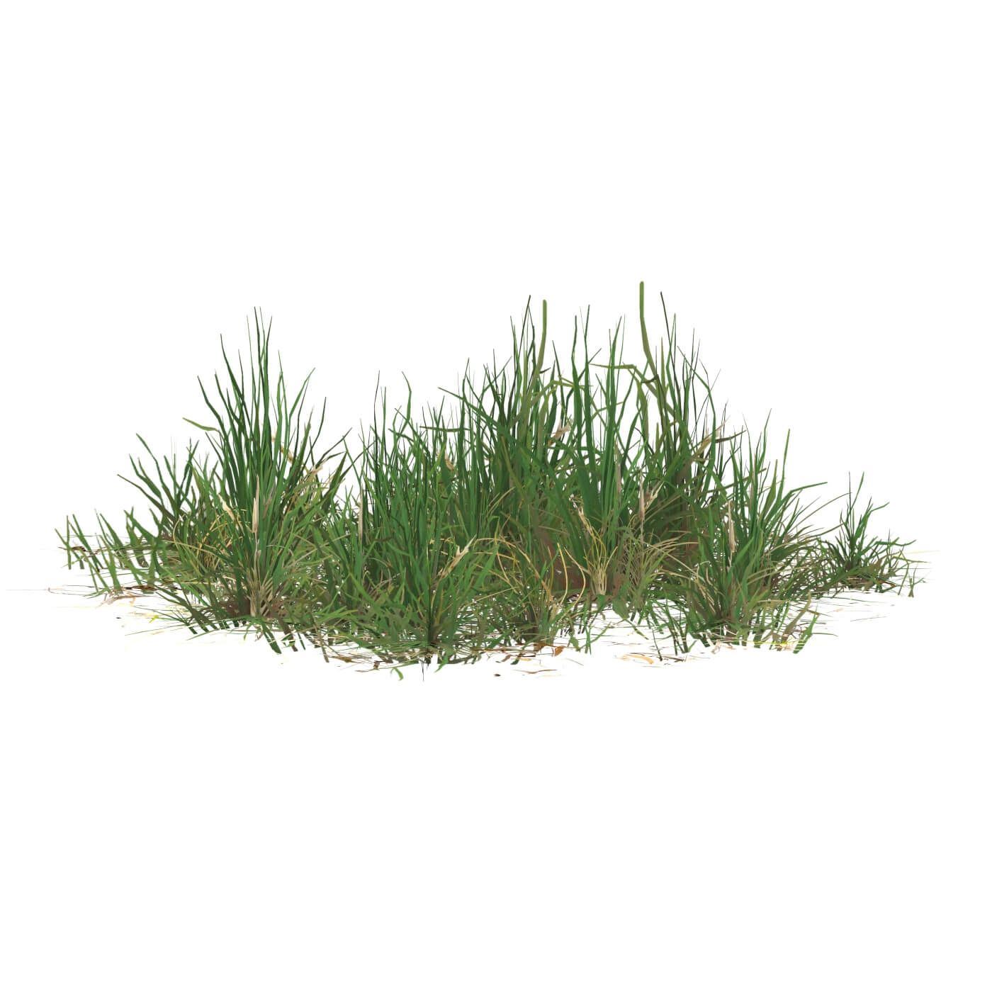 Realistic Game Ready Grass 04 - 3D Model by cgsea