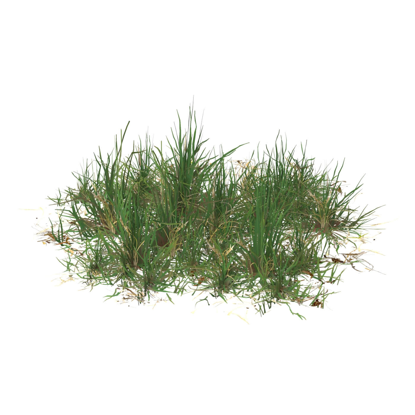 Realistic Game Ready Grass 04 - 3D Model by cgsea