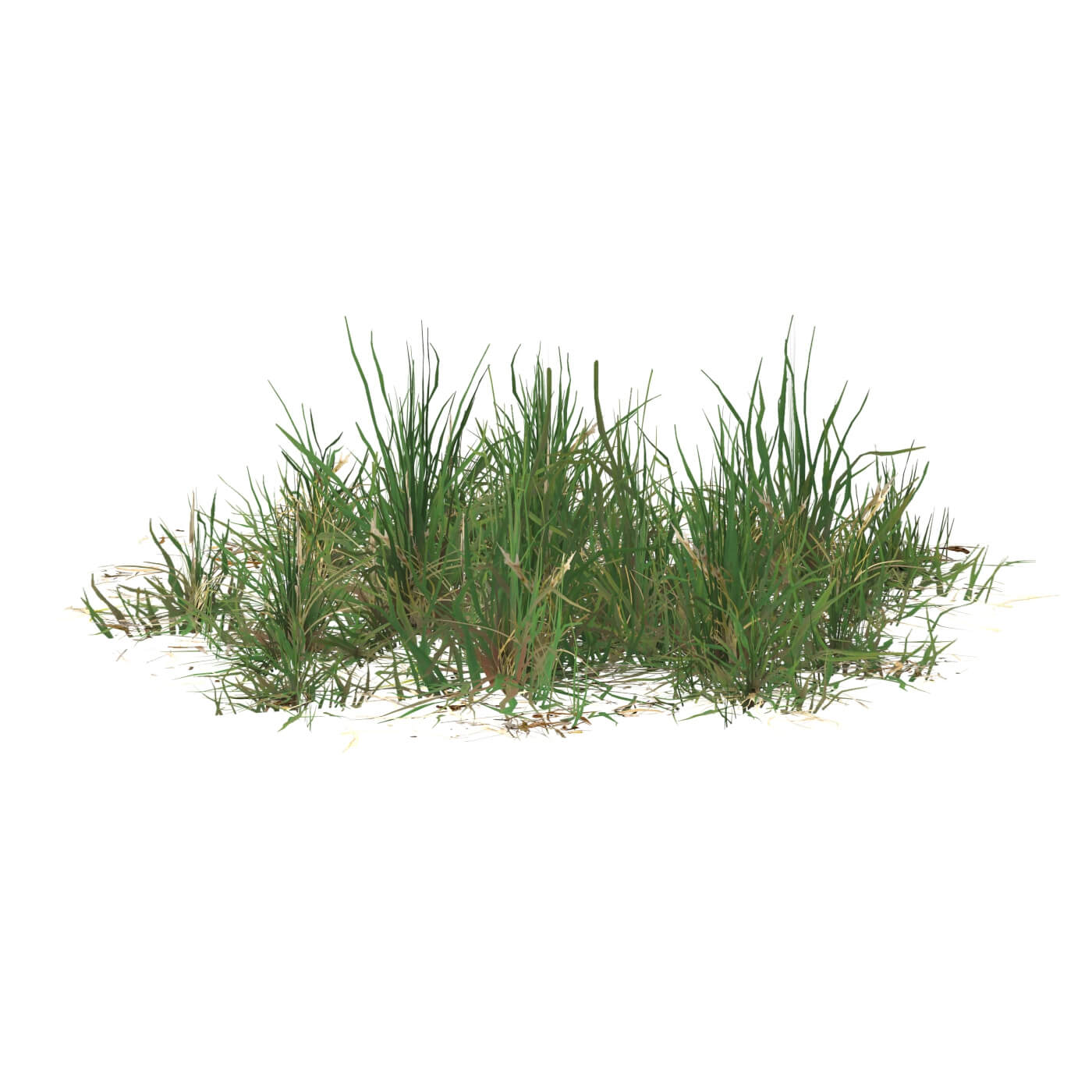 Realistic Game Ready Grass 04 - 3D Model by cgsea