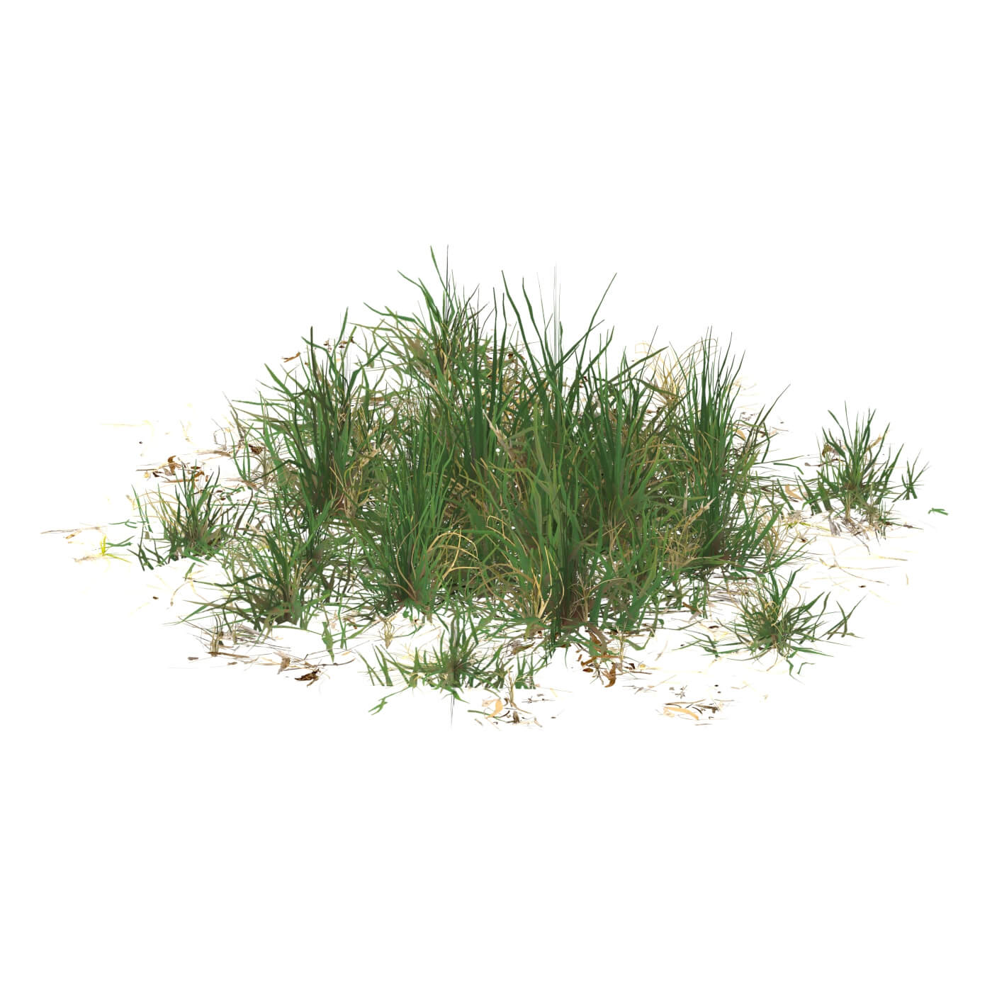 Realistic Game Ready Grass 05 - 3D Model by cgsea
