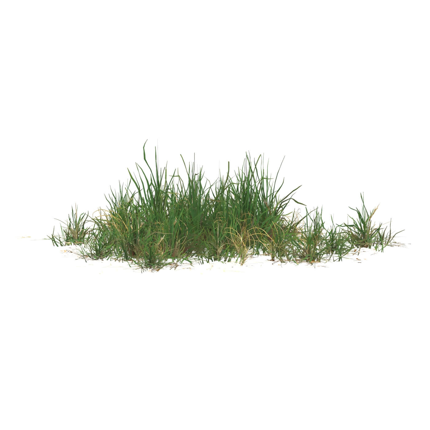 Realistic Game Ready Grass 06 - 3D Model by cgsea