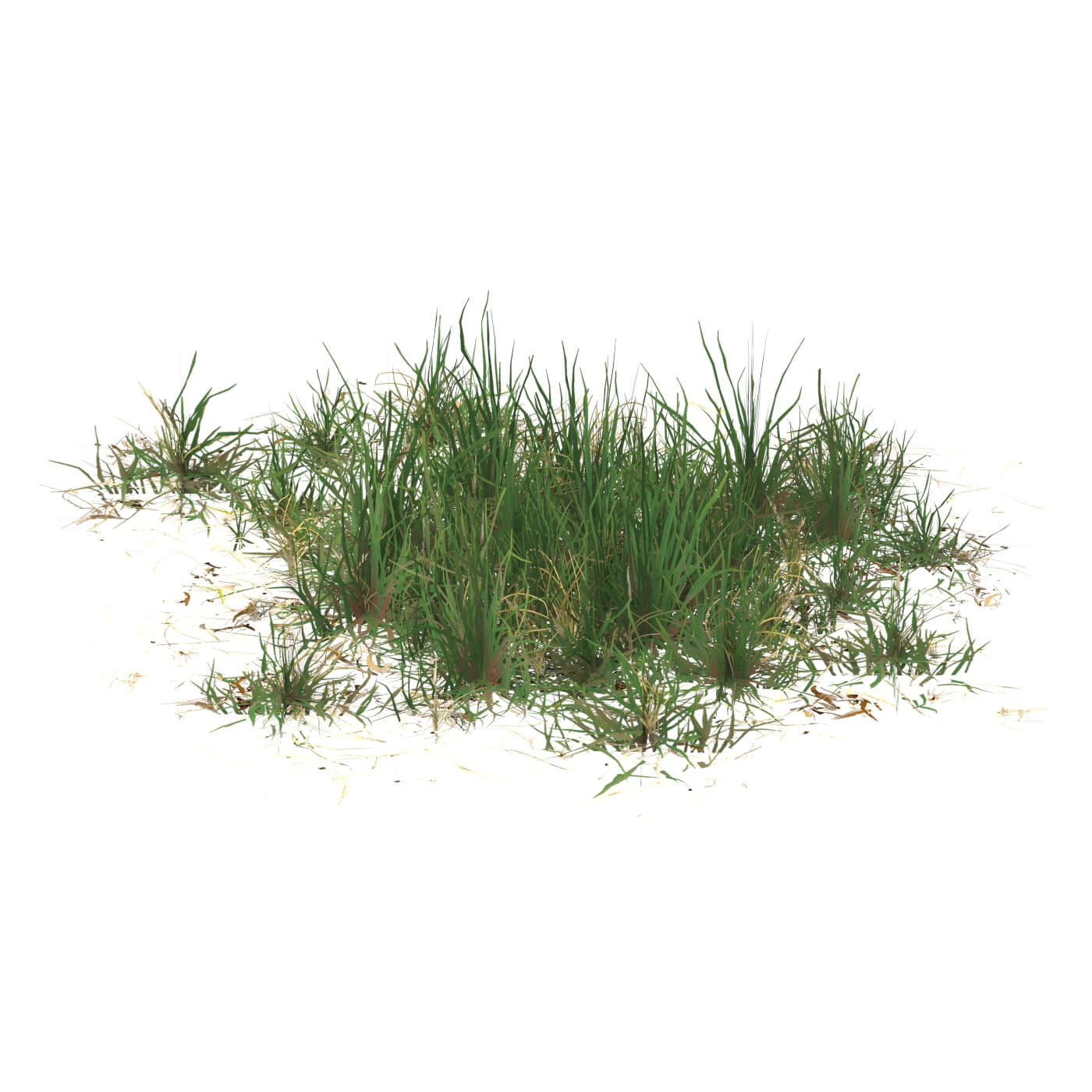 Realistic Game Ready Grass 06 - 3D Model by cgsea