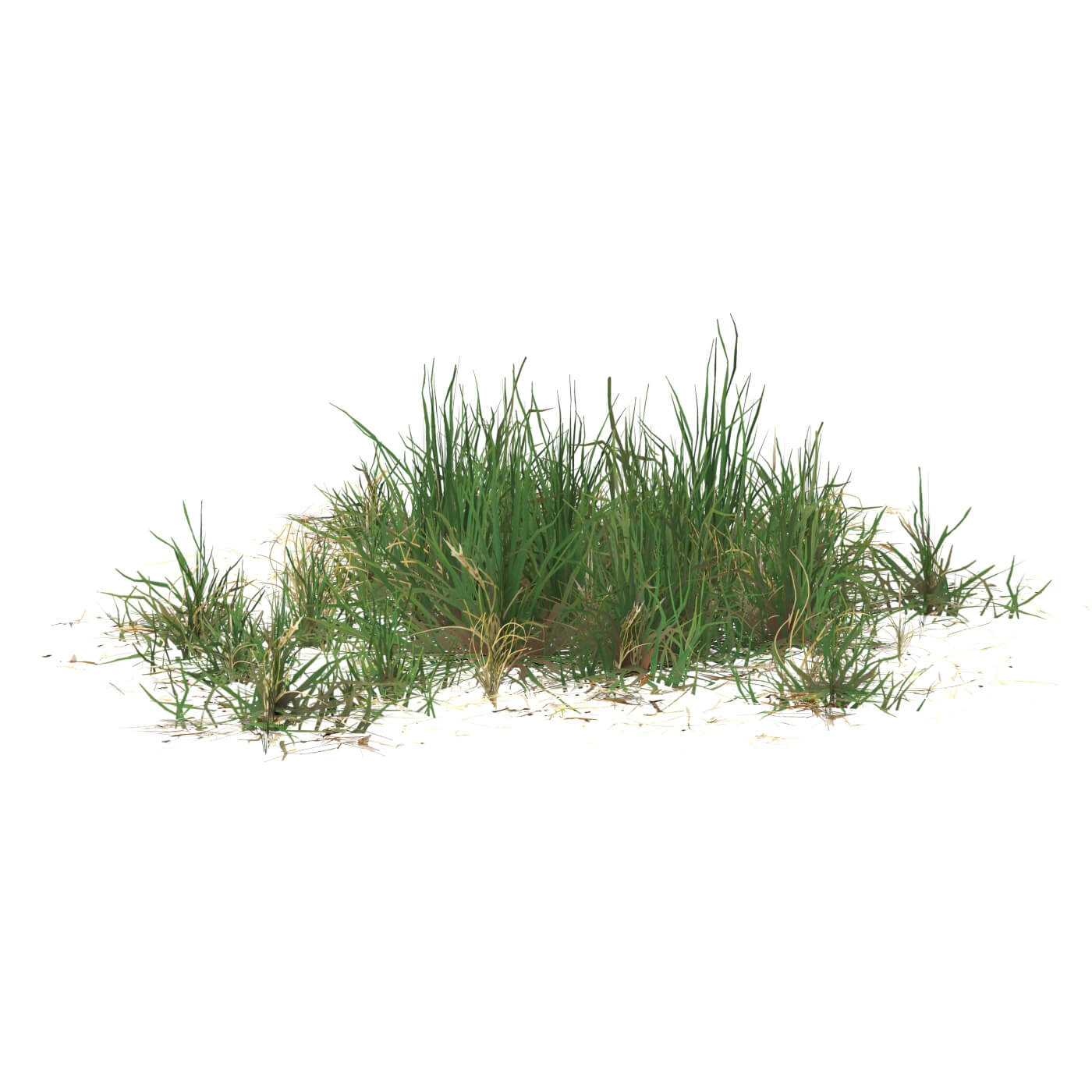Realistic Game Ready Grass 06 - 3D Model by cgsea