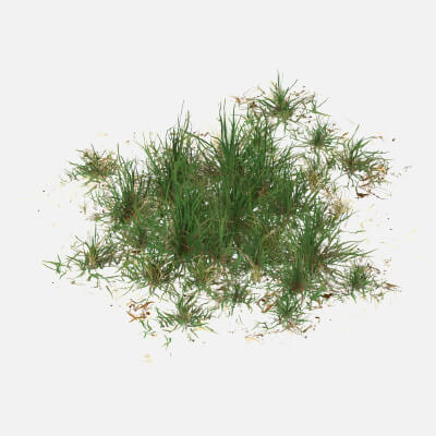 Realistic Game Ready Grass 06 - 3D Model by cgsea