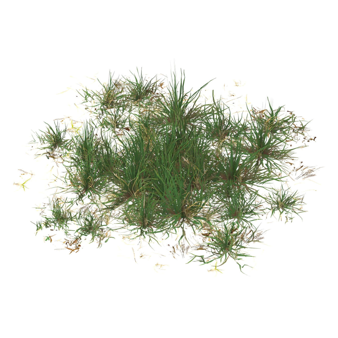 Realistic Game Ready Grass 07 - 3D Model by cgsea