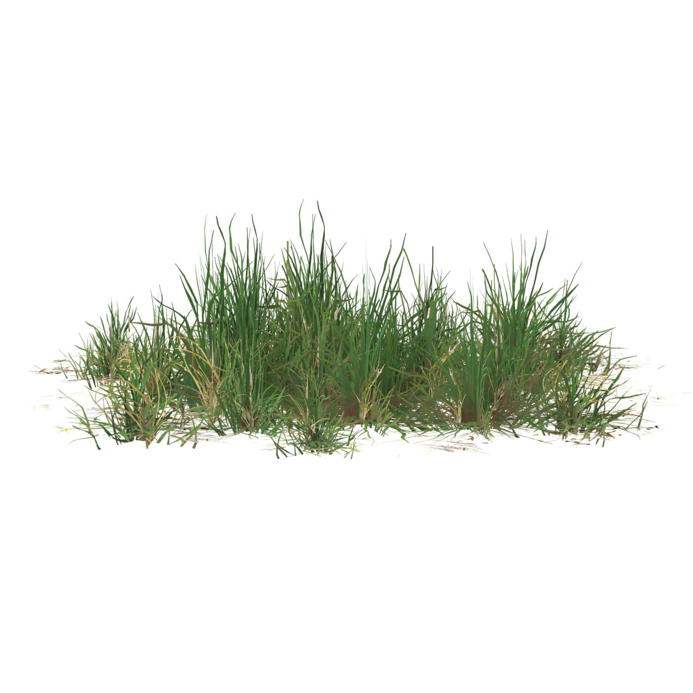 Realistic Game Ready Grass 07 - 3D Model by cgsea