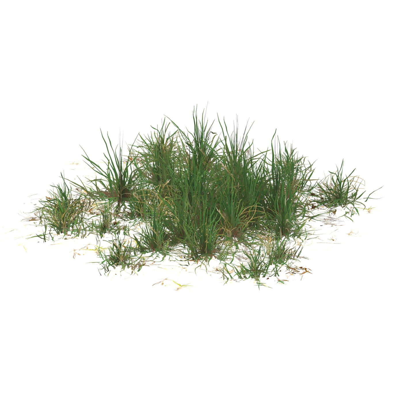 Realistic Game Ready Grass 07 - 3D Model by cgsea