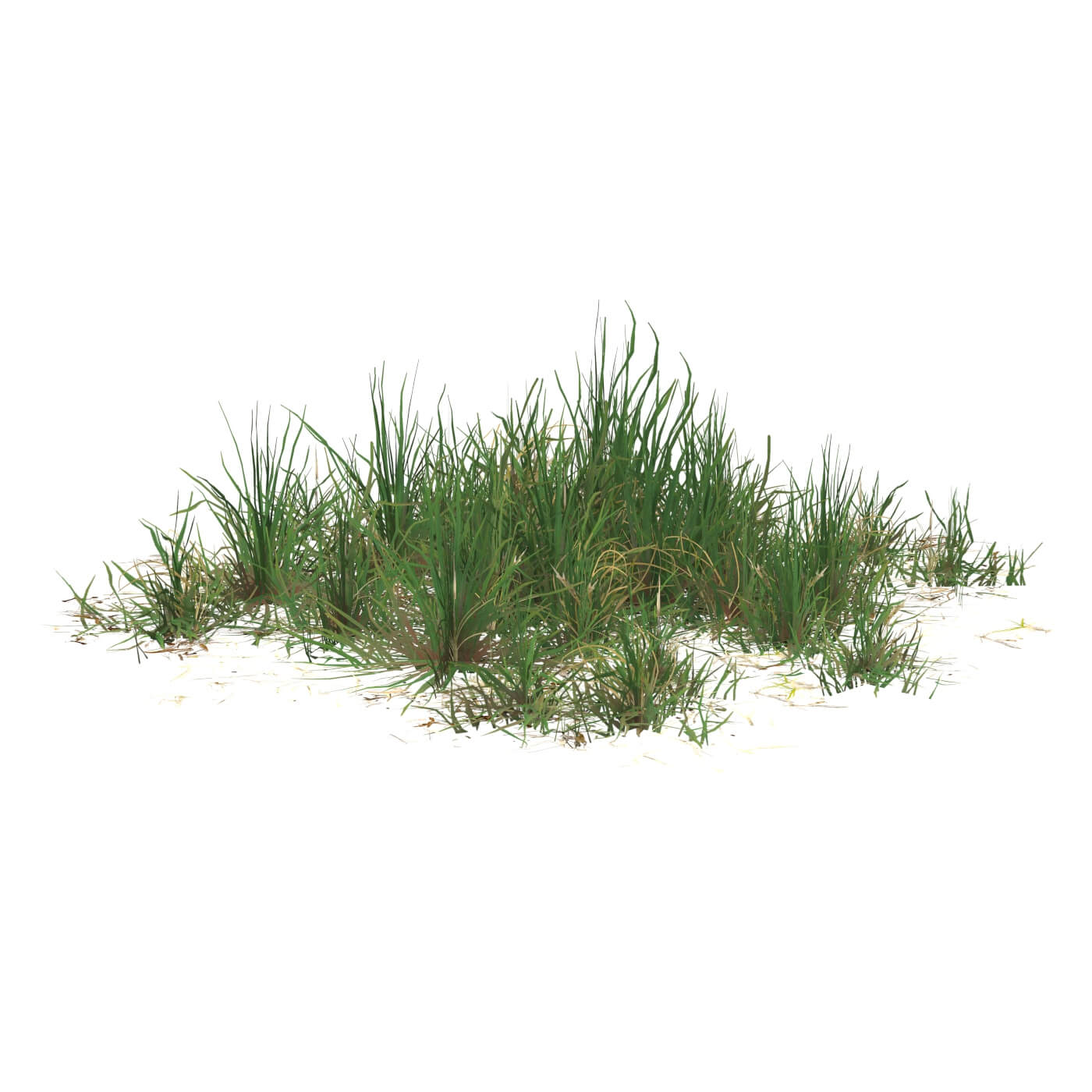 Realistic Game Ready Grass 07 - 3D Model by cgsea