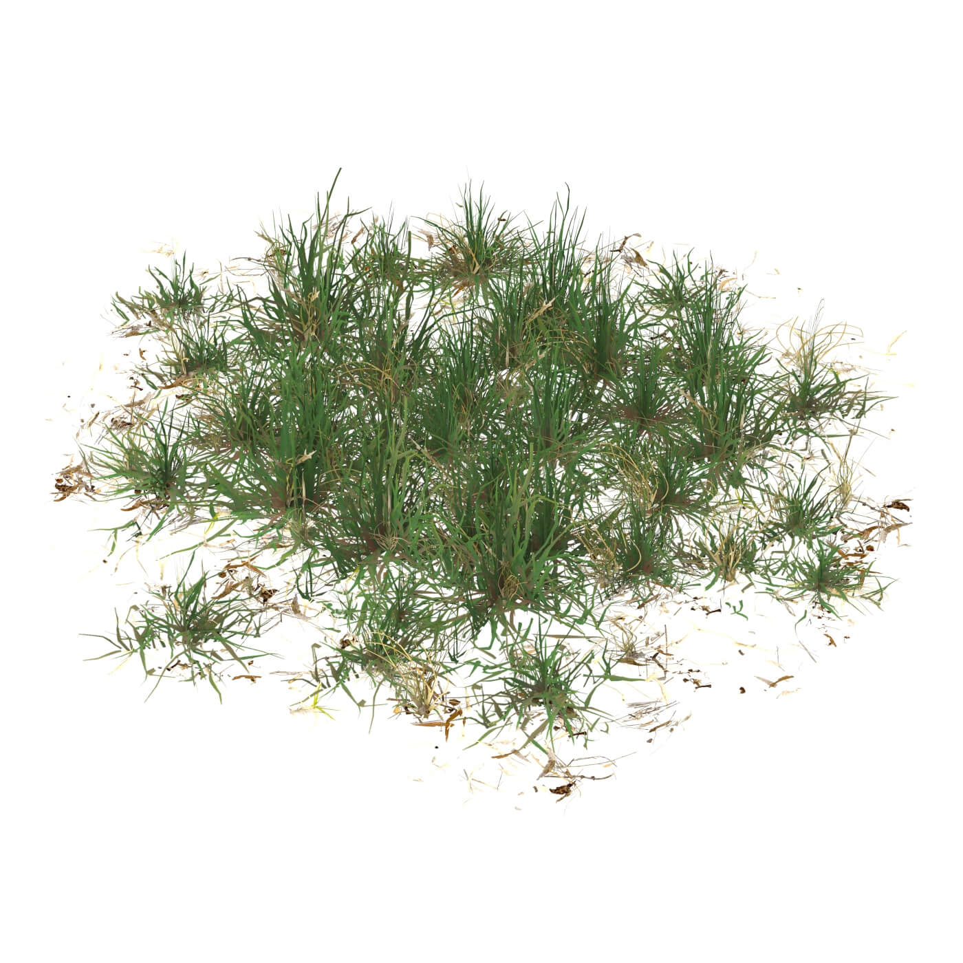 Realistic Game Ready Grass 08 - 3D Model by cgsea