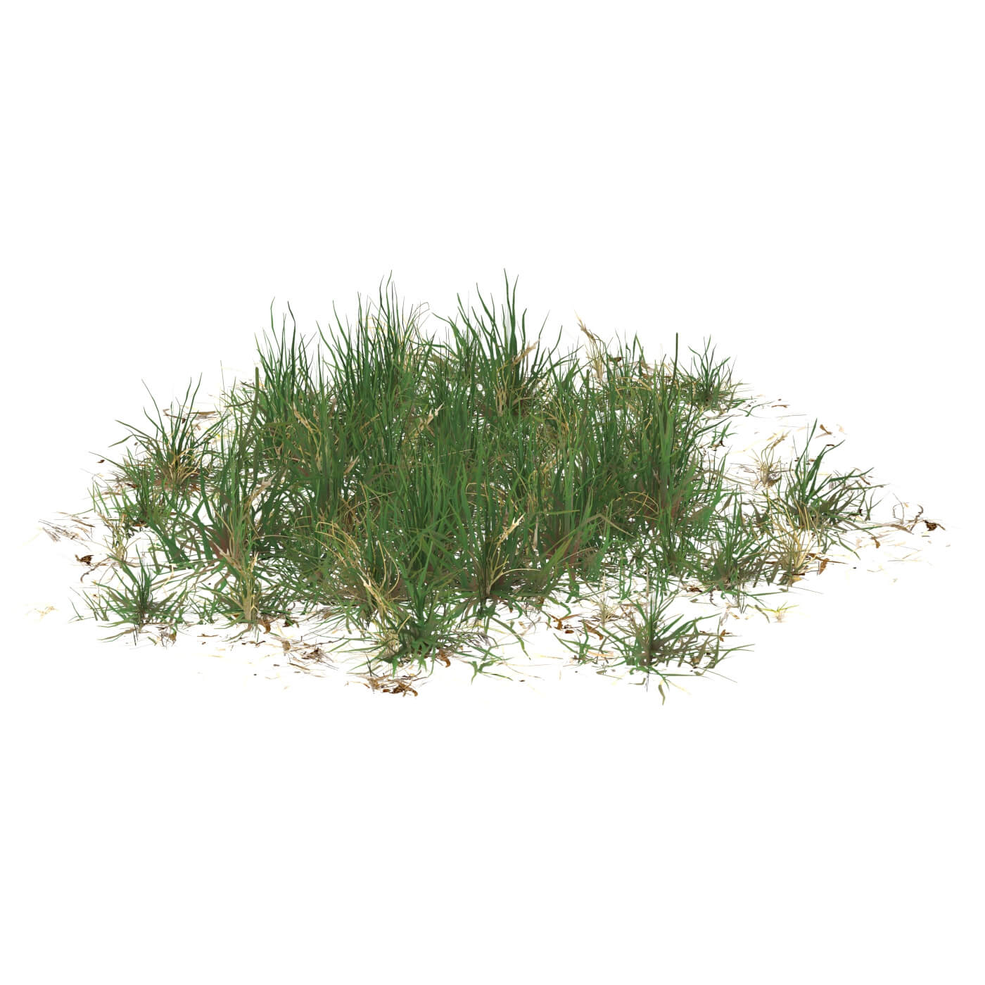 Realistic Game Ready Grass 08 - 3D Model by cgsea