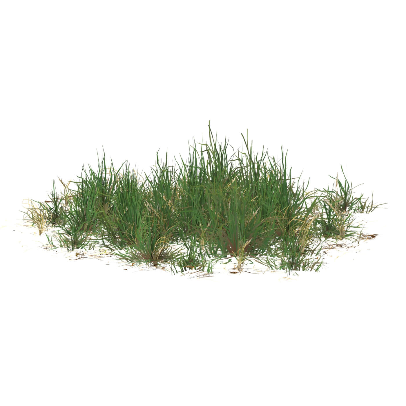 Realistic Game Ready Grass 08 - 3D Model by cgsea