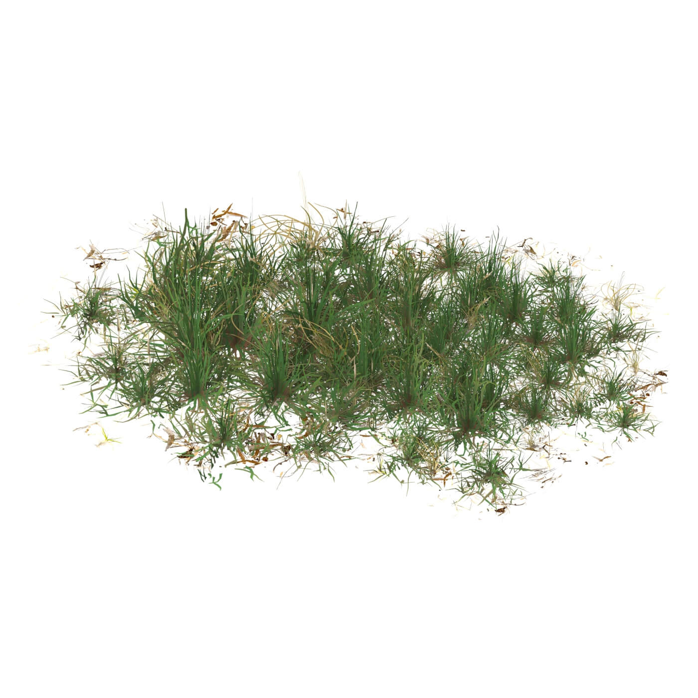 Realistic Game Ready Grass 09 - 3D Model by cgsea