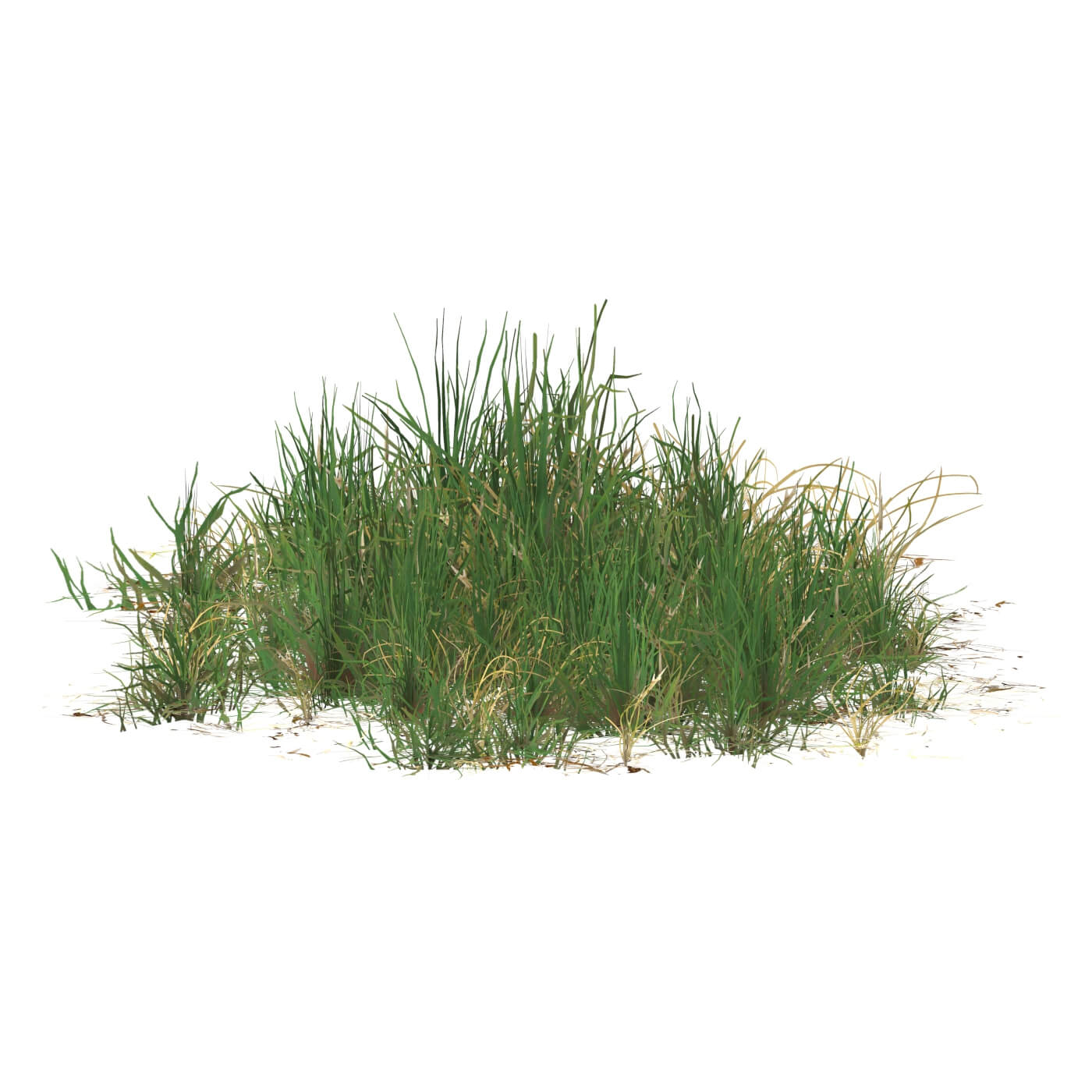 Realistic Game Ready Grass 09 - 3D Model by cgsea