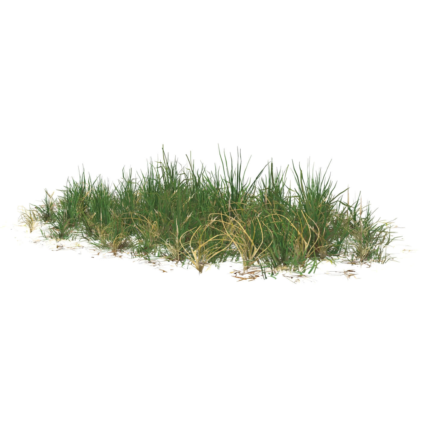 Realistic Game Ready Grass 09 - 3D Model by cgsea
