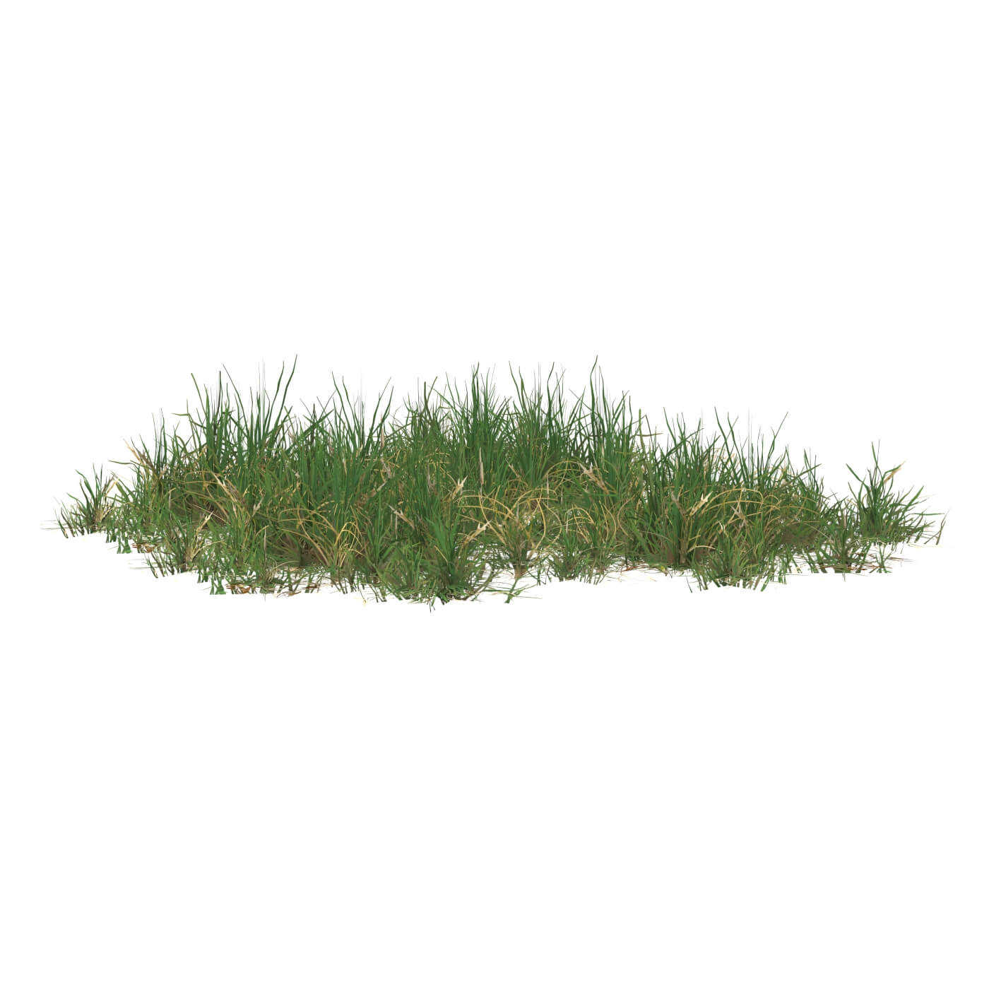 Realistic Game Ready Grass 10 - 3D Model by cgsea