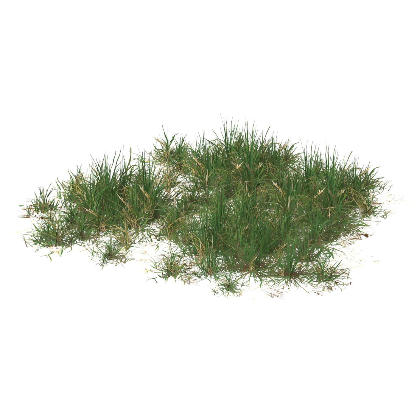 Realistic Game Ready Grass 10 - 3D Model by cgsea