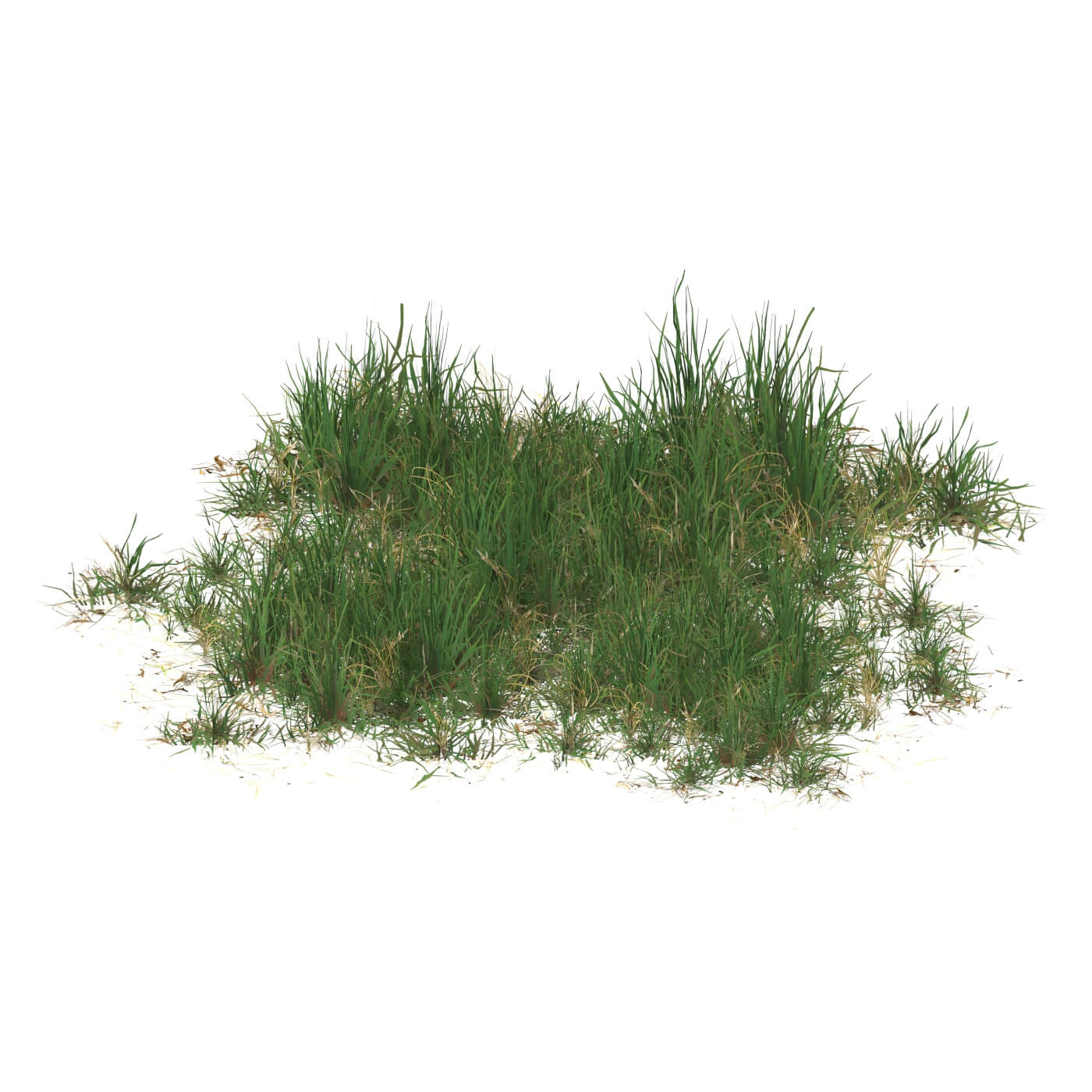 Realistic Game Ready Grass 11 - 3D Model by cgsea