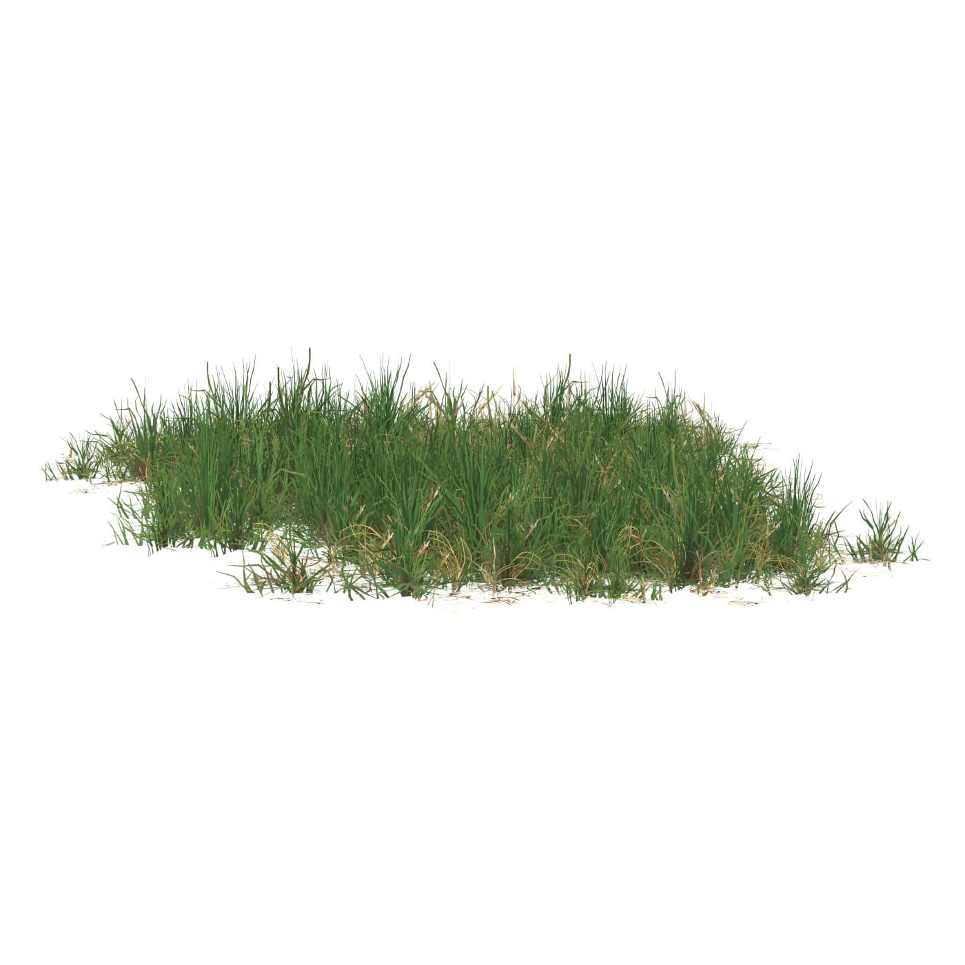 Realistic Game Ready Grass 12 - 3D Model by cgsea