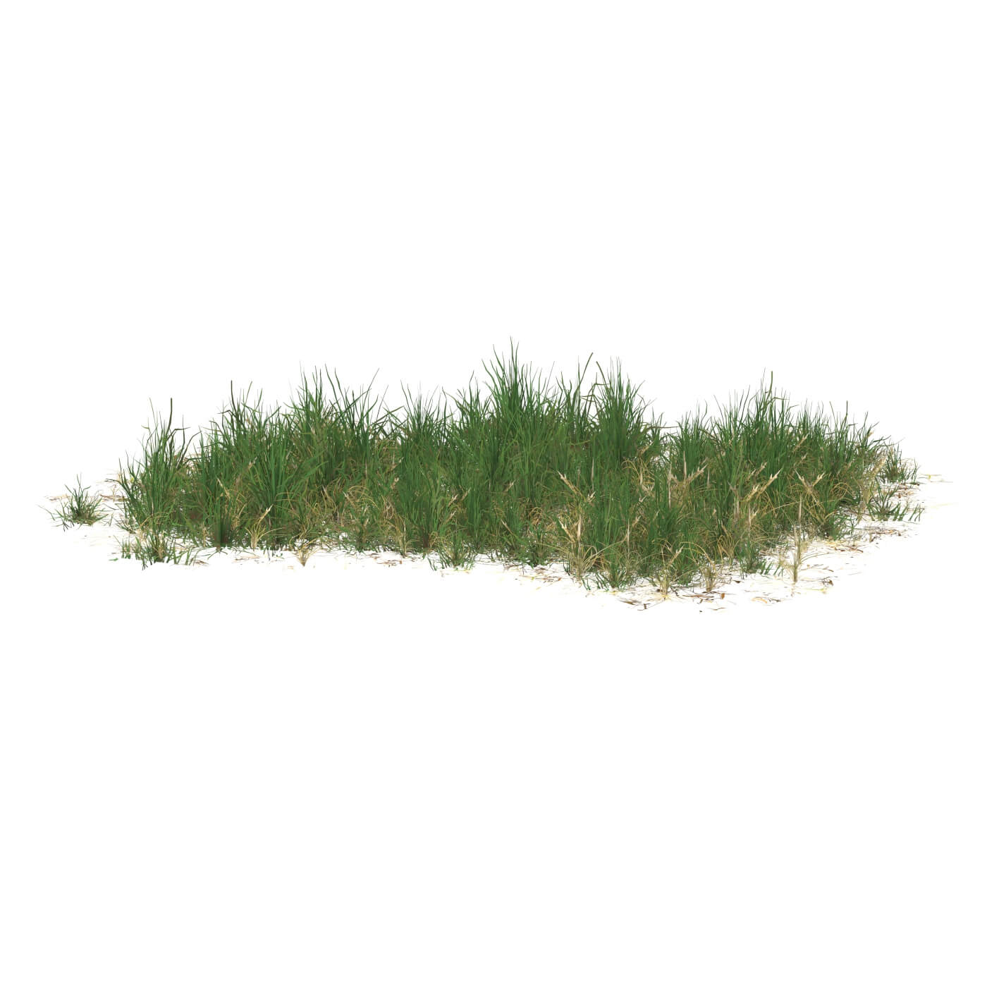 Realistic Game Ready Grass 12 - 3D Model by cgsea