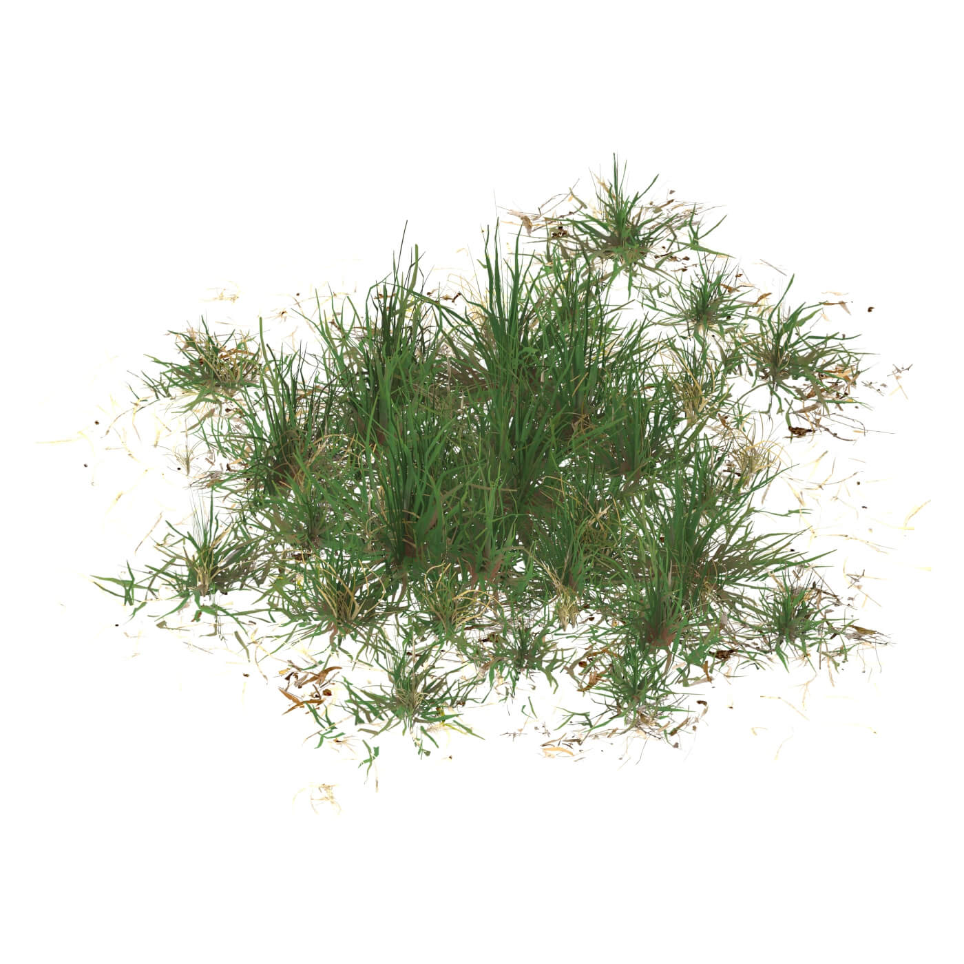 Realistic Game Ready Grass Collection - 3D Model by cgsea