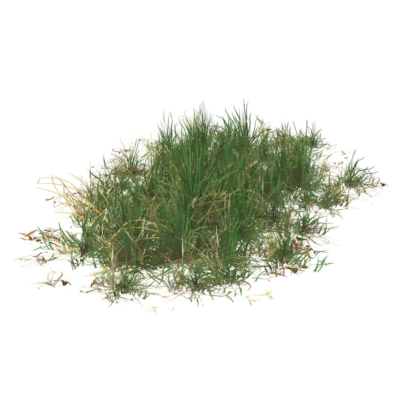 Realistic Game Ready Grass Collection - 3D Model by cgsea
