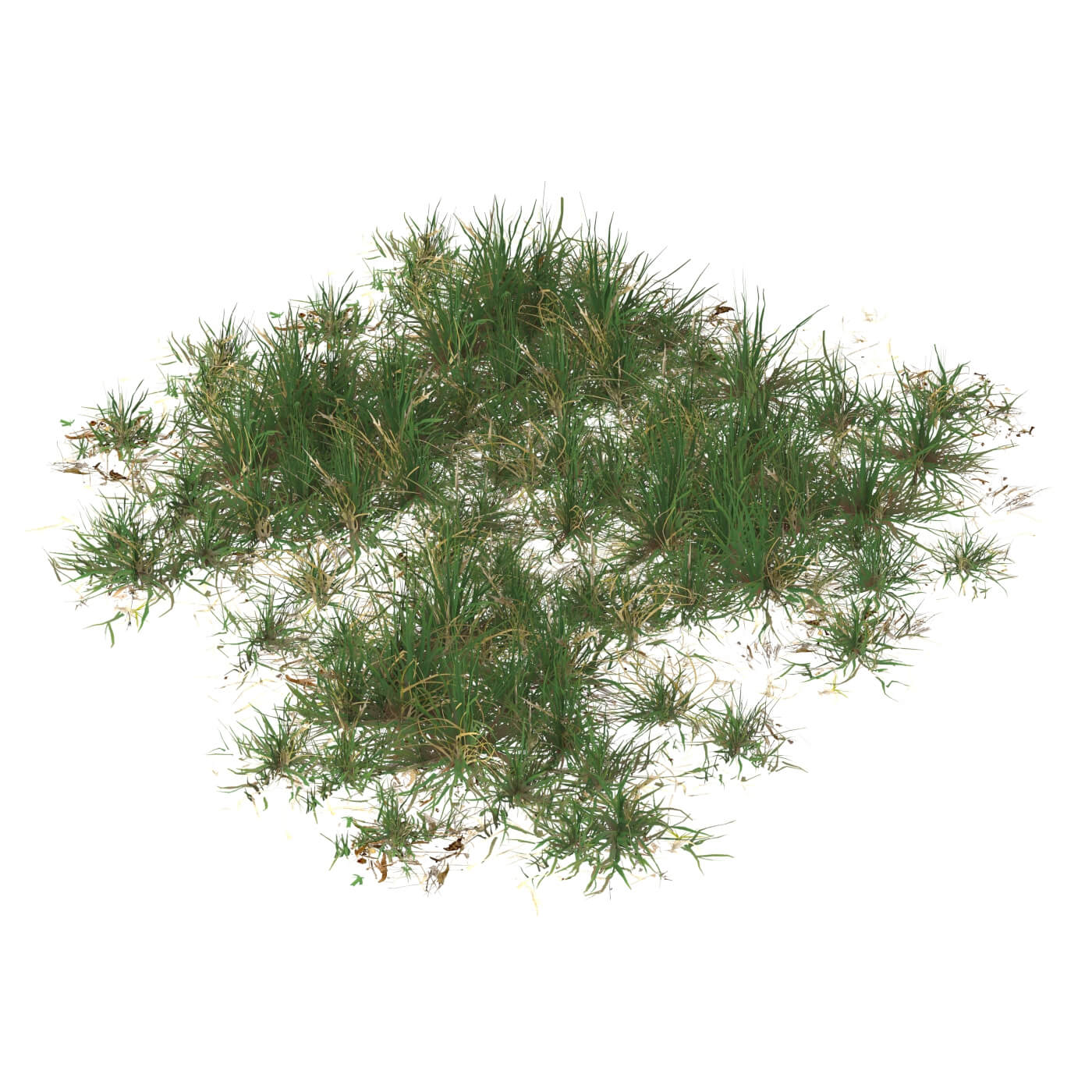 Realistic Game Ready Grass Collection - 3D Model by cgsea