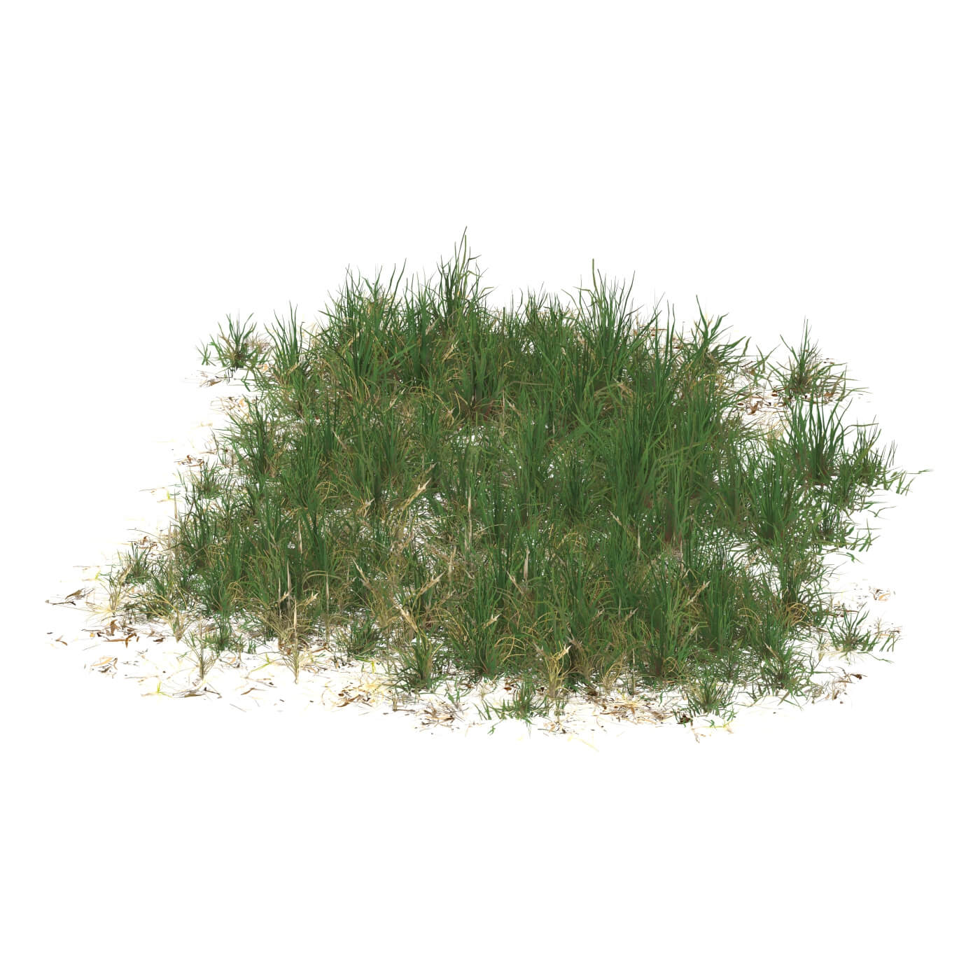 Realistic Game Ready Grass Collection - 3D Model by cgsea