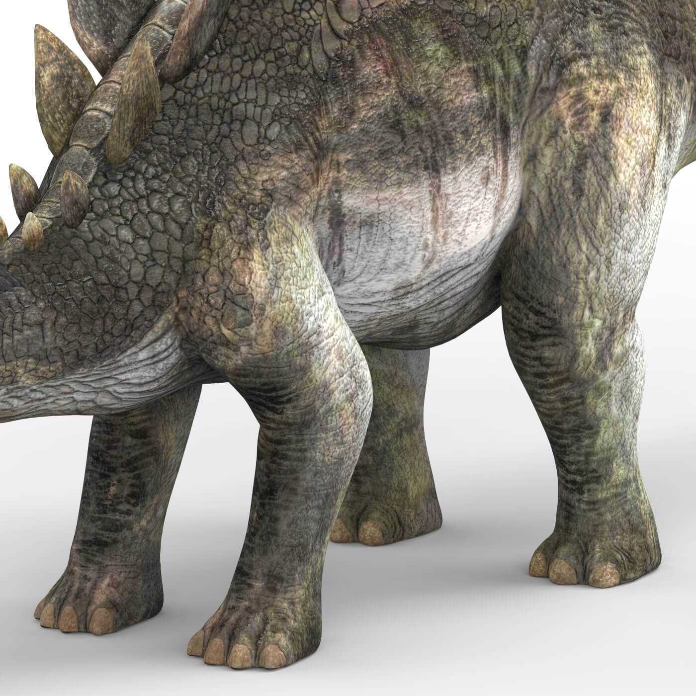 Stegosaurus Dinosaur - 3D Model by cgsea