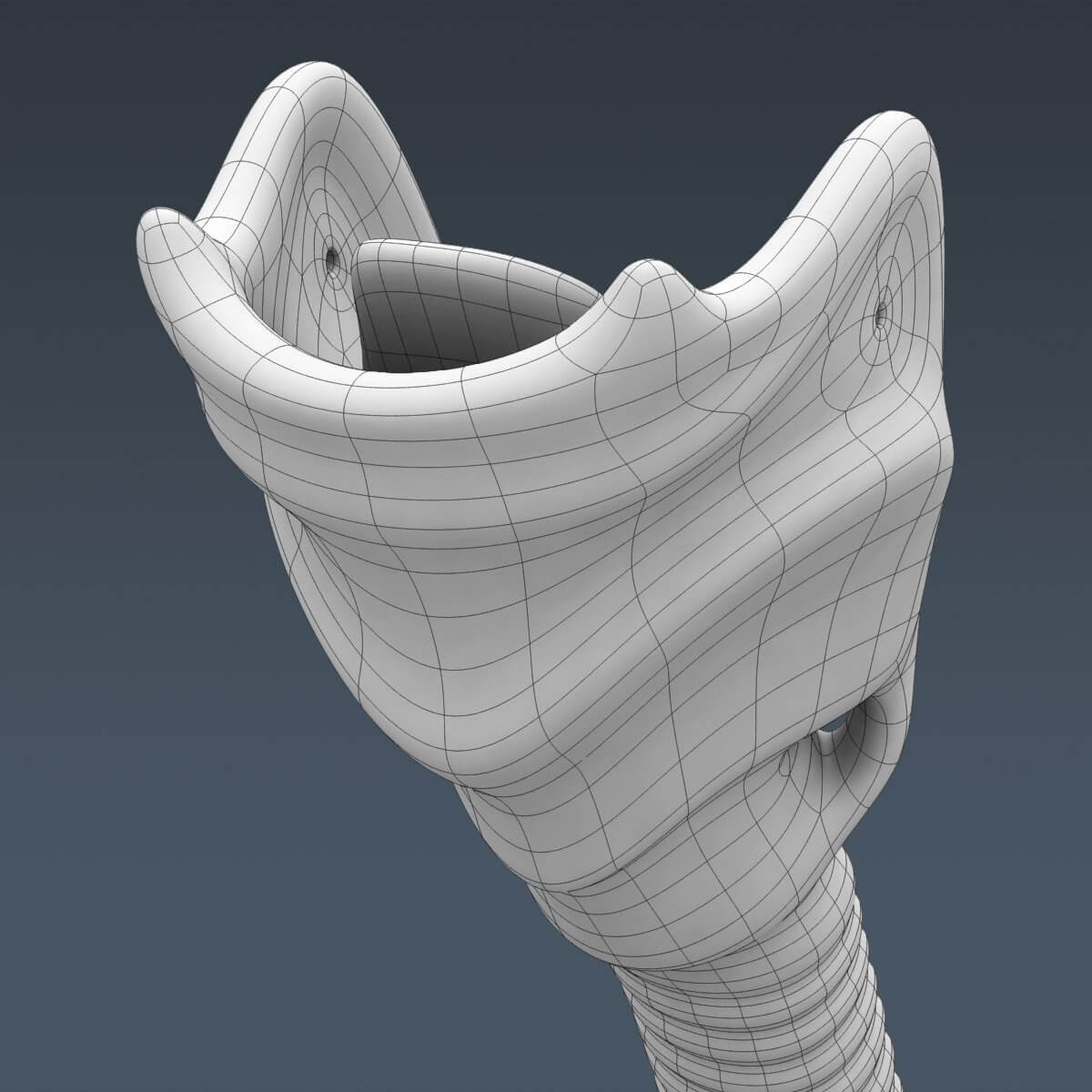 Human Larynx - Anatomy 3D Model by CGShape