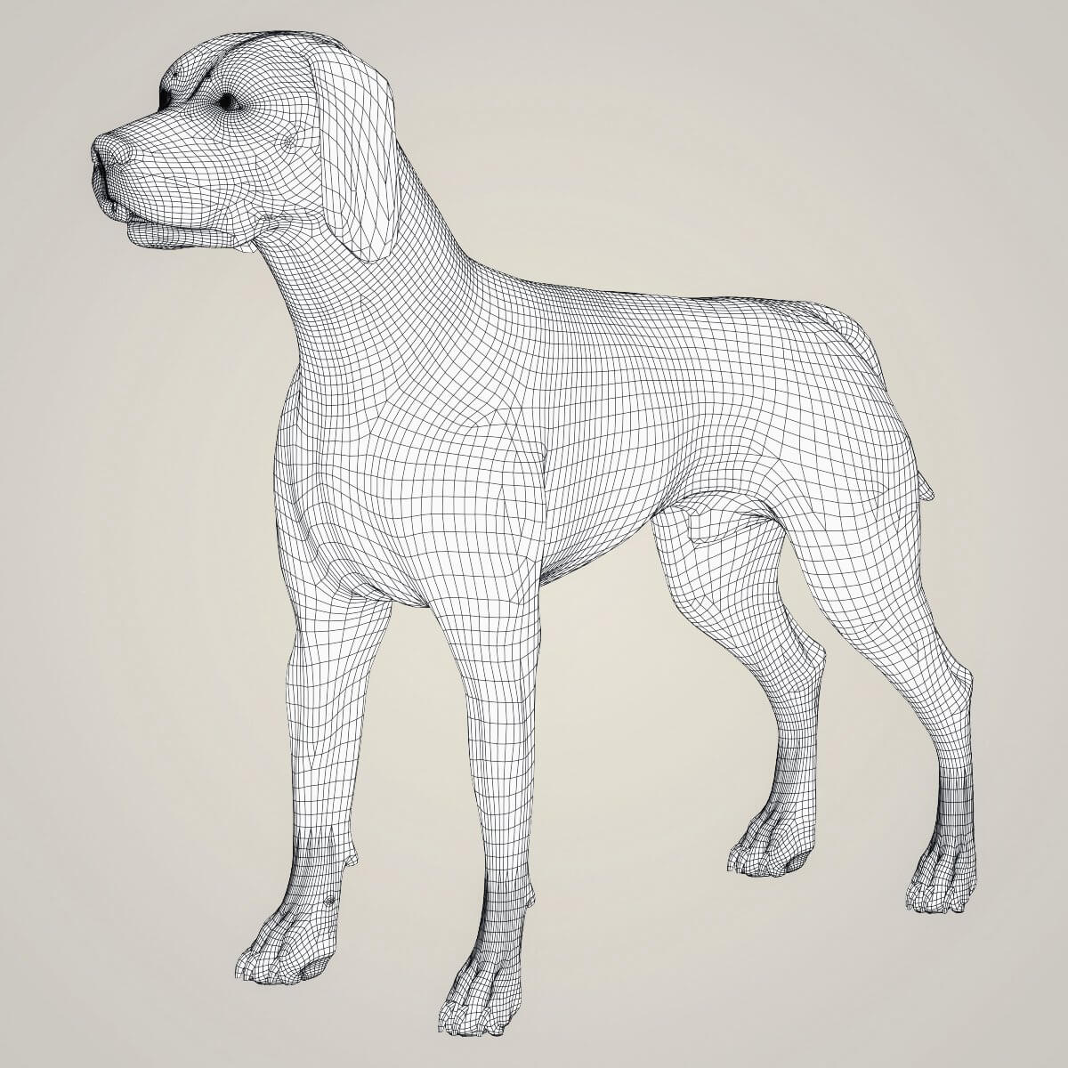 Hound Black Dog - 3D Model by Cgtools